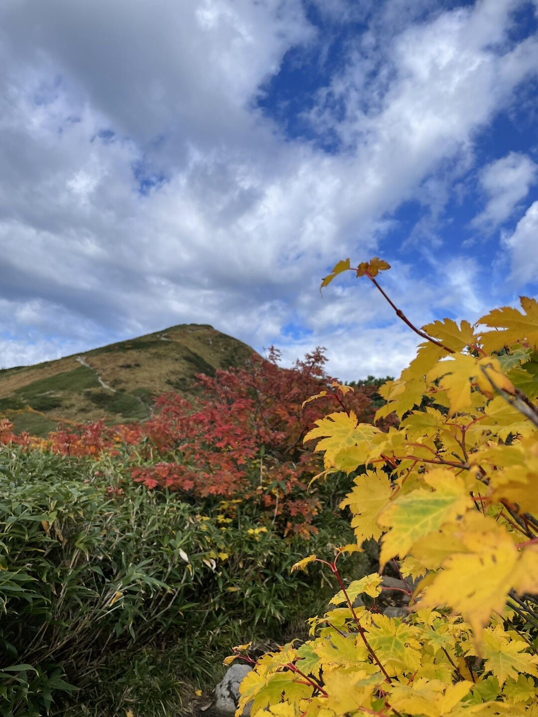 立山（雄山）・立山（富士ノ折立）・奥大日岳 / shomin🍊さんの立山・雄山・浄土山の活動データ | YAMAP / ヤマップ