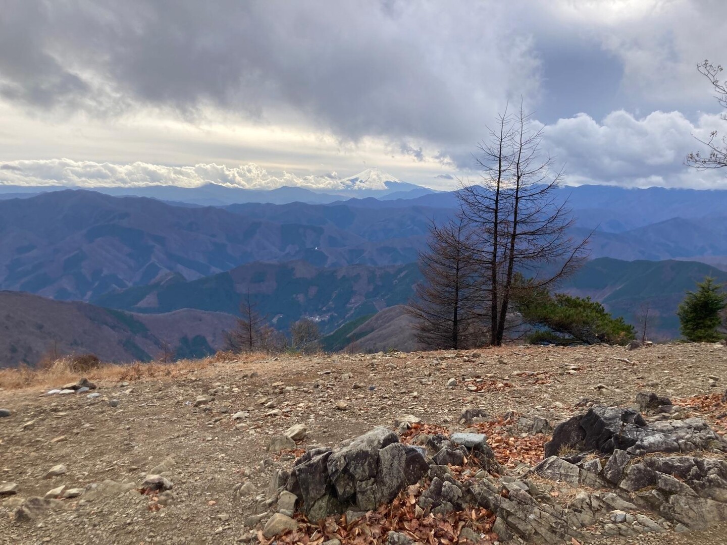 鷹の巣山 / Highlandさんの雲取山・鷹ノ巣山・七ツ石山の活動データ | YAMAP / ヤマップ
