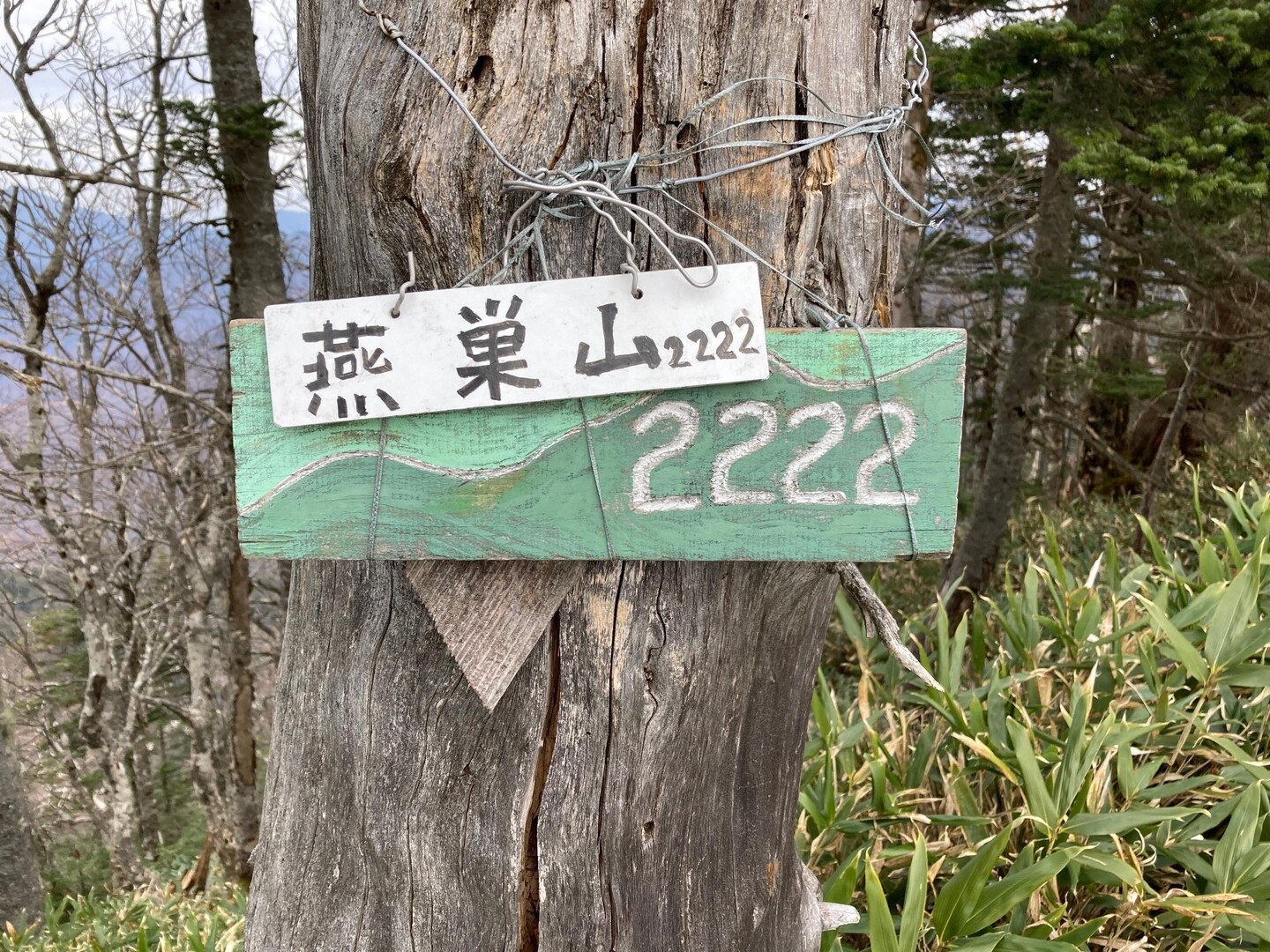 燕巣山 2222m ️ / ちゃあさんの鬼怒沼山・物見山・黒岩山の活動データ | YAMAP / ヤマップ