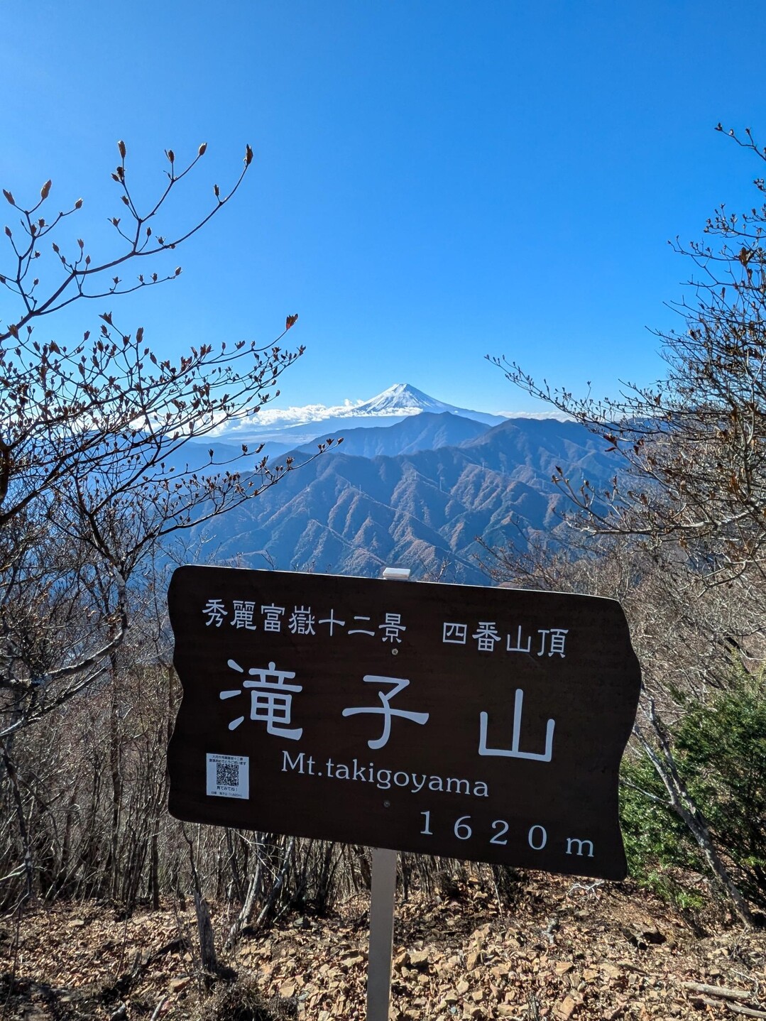 滝子山 / Sam&Azuさんの滝子山・大谷ヶ丸・笹子雁ヶ腹摺山の活動データ | YAMAP / ヤマップ