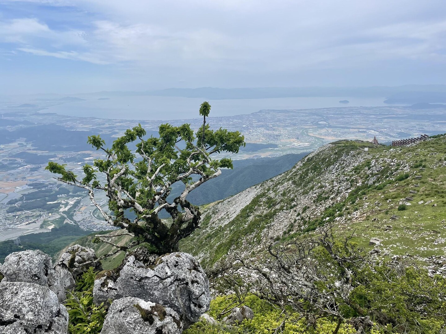 源氏山・油里山・徳蔵山・伊吹山・弥高山 / sikaさんの伊吹山・伊吹高原・御座峰の活動データ | YAMAP / ヤマップ