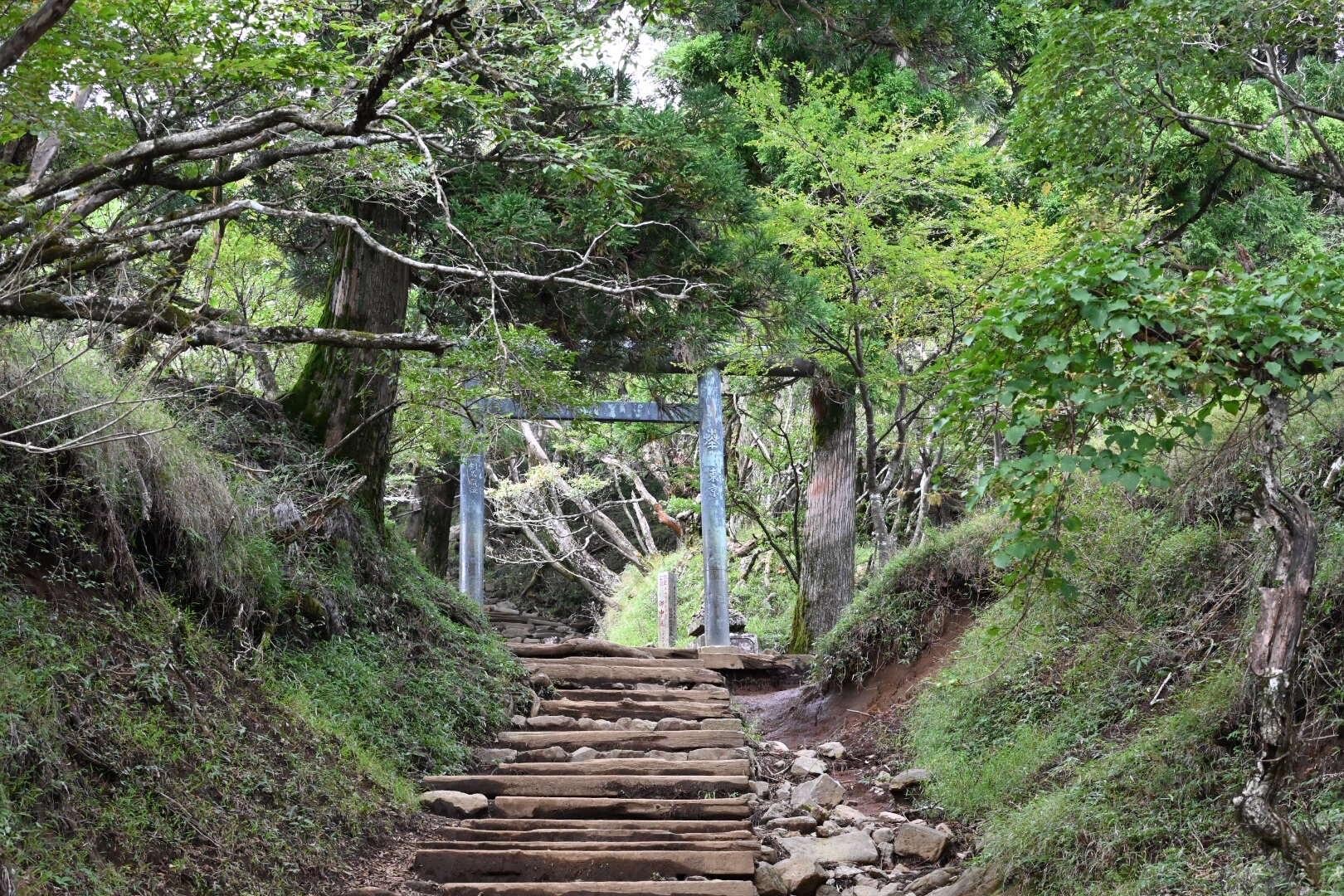 大山 / mintさんの大山の活動データ | YAMAP / ヤマップ