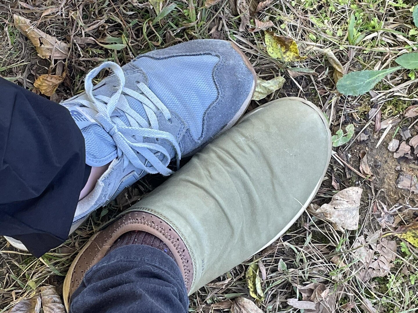 秋の昼活 / whaleさんのウォーキングの活動データ | YAMAP / ヤマップ