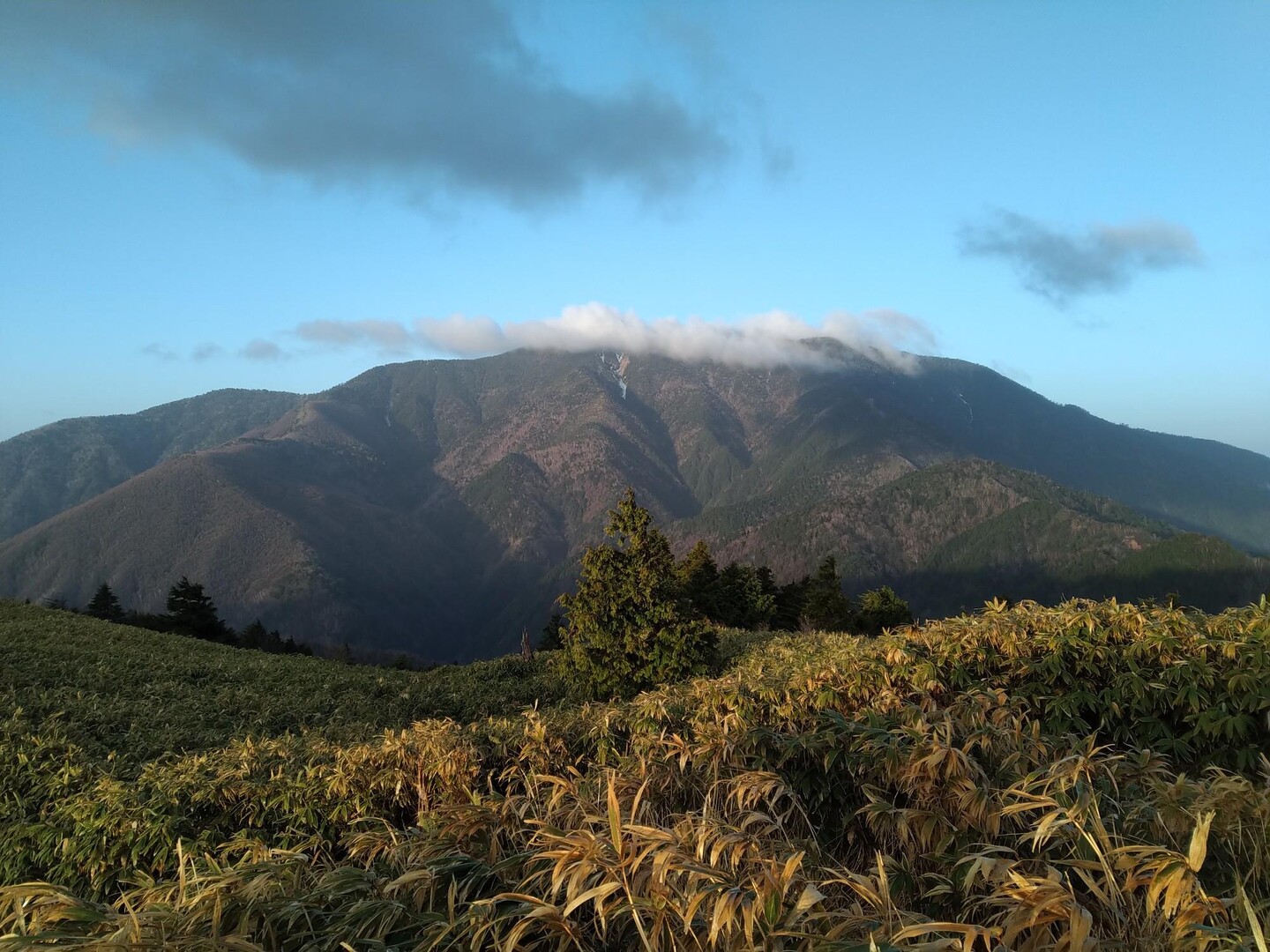 千両山・大判山・恵那山 / h.bloodさんの恵那山・大判山・神坂山の活動データ | YAMAP / ヤマップ