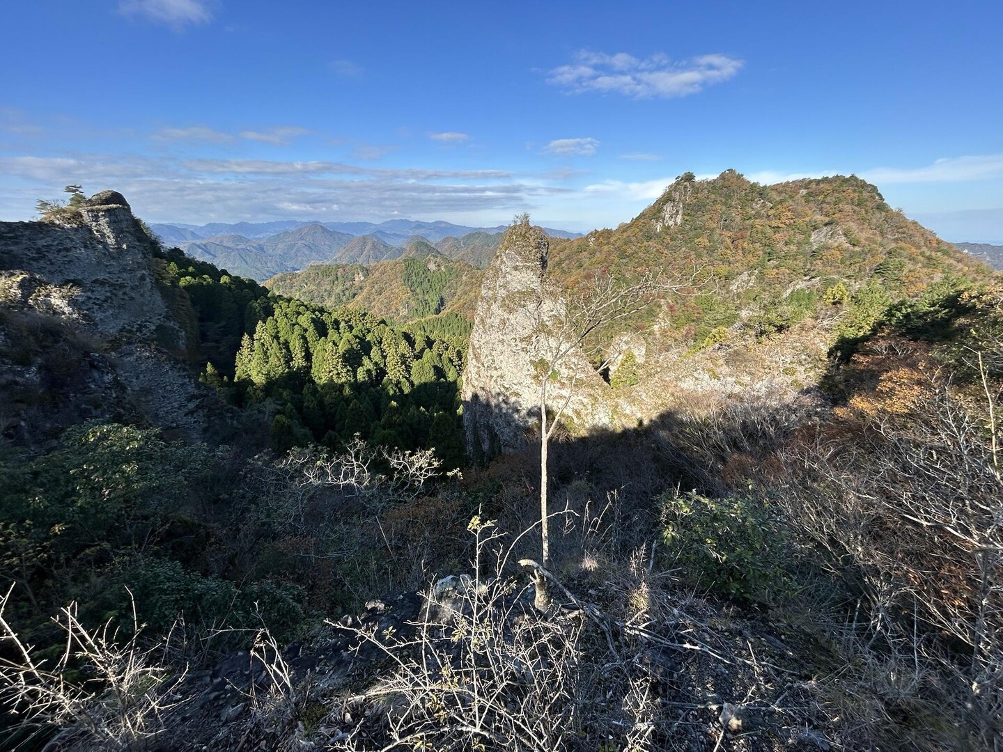鹿嵐山・ねこ山からのバリルート‼️ / masapi-さんの鹿嵐山の活動データ | YAMAP / ヤマップ