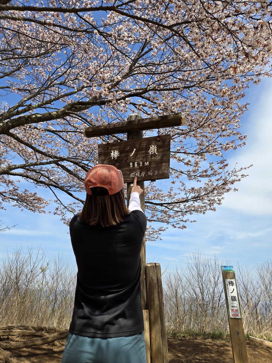 🌸桜の花びら輝く春の棒ノ嶺（棒ノ折山） / akky.mさんの棒ノ折山（棒ノ嶺）の活動データ | YAMAP / ヤマップ