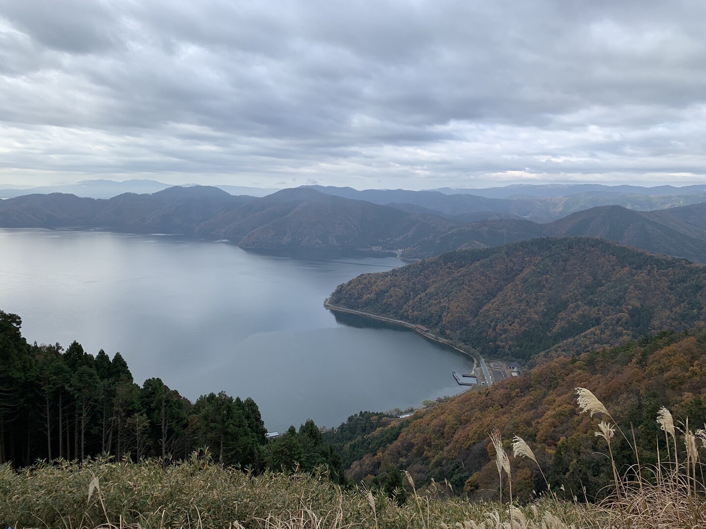 大岩山・賤ヶ岳 / kapiさんの賤ヶ岳・山本山の活動日記 | YAMAP / ヤマップ