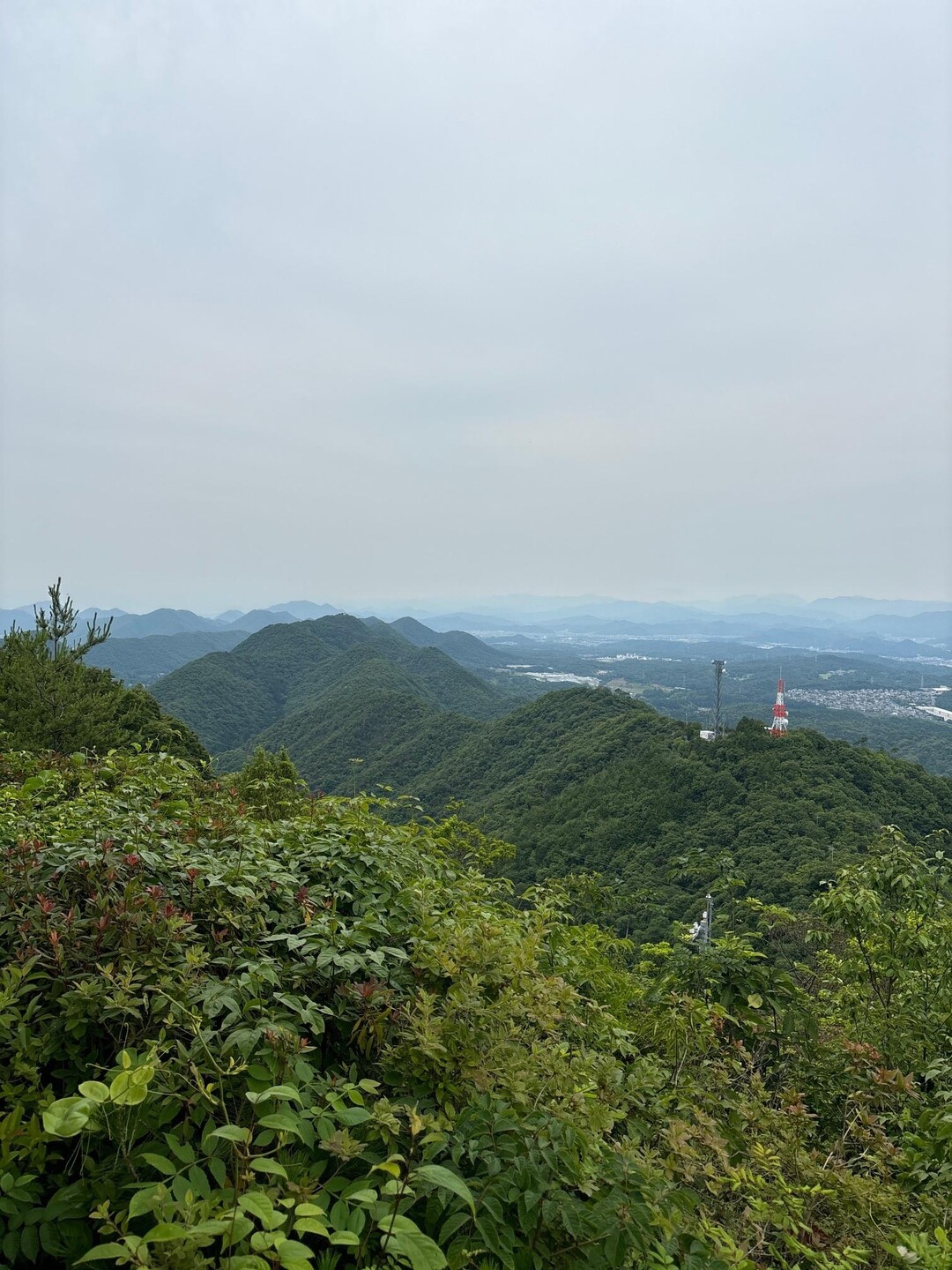 各務原アルプス縦走 / jinisanさんの各務原アルプス（関南アルプス）・八木三山の活動データ | YAMAP / ヤマップ