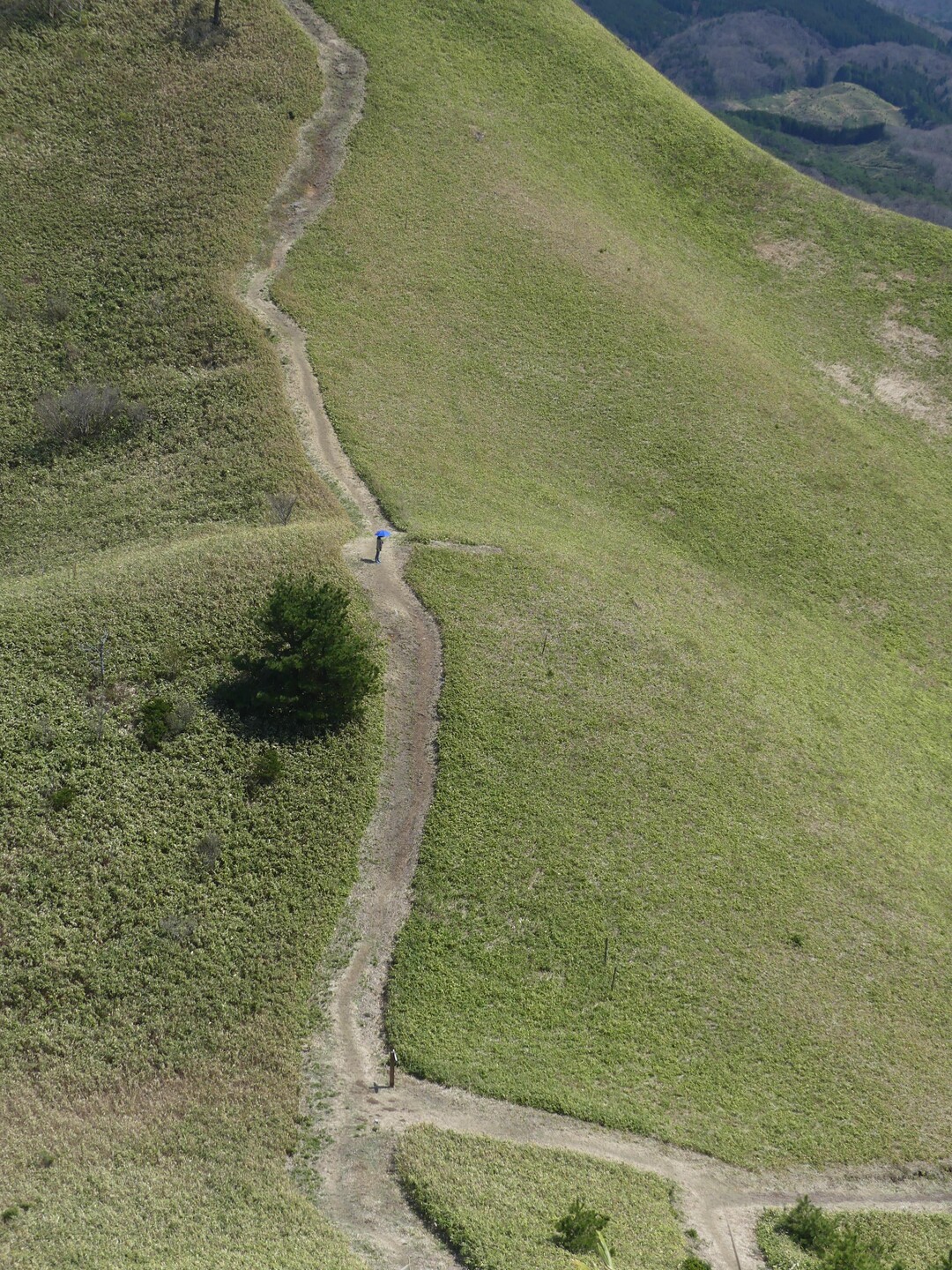 雲月山👍いいね軌跡 / KAZU3さんの雲月山・大潰山・大佐山の活動データ | YAMAP / ヤマップ