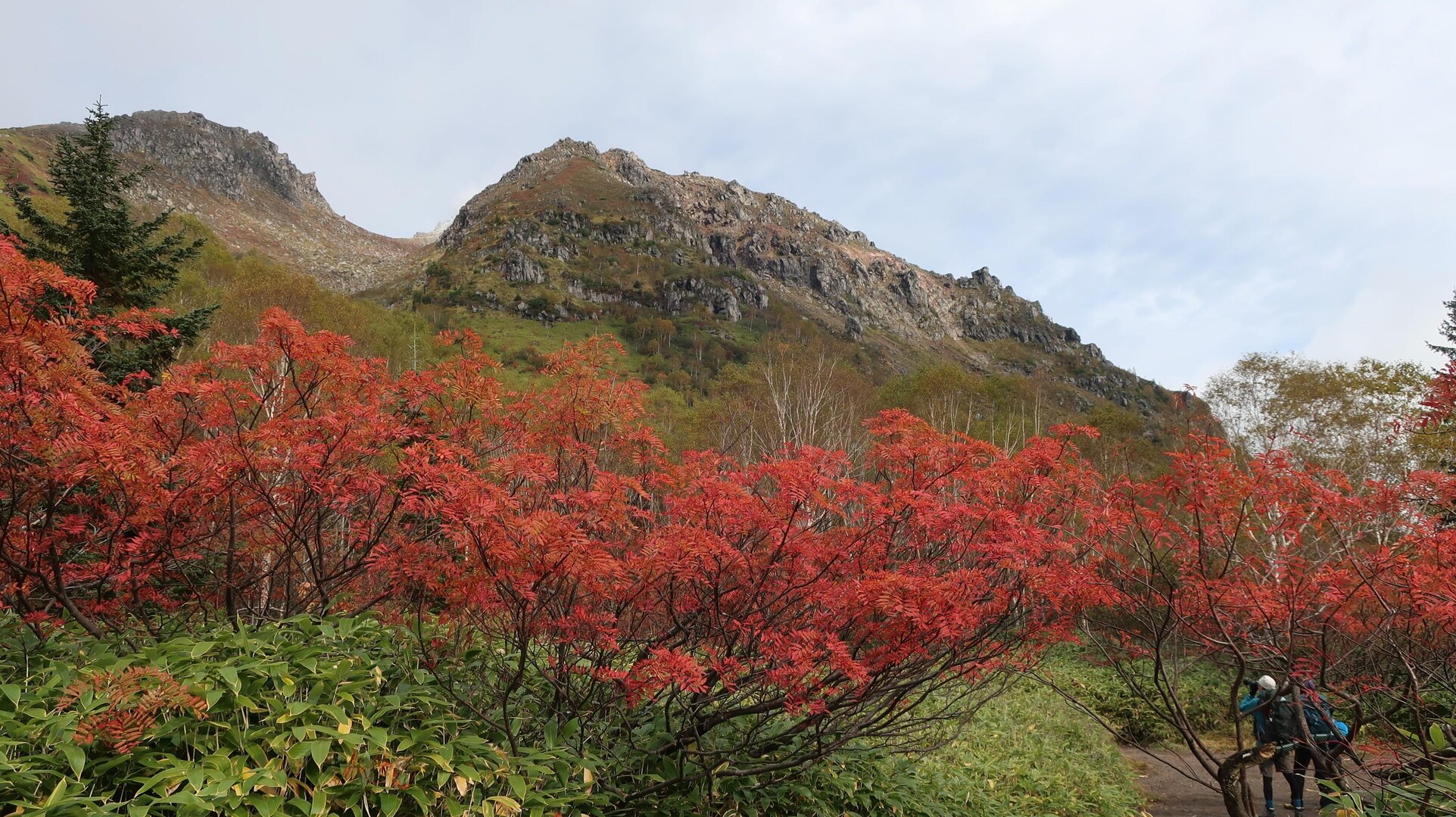 焼岳（北峰）紅葉最高でした😆 / mimuさんの乗鞍岳の活動日記 | YAMAP / ヤマップ