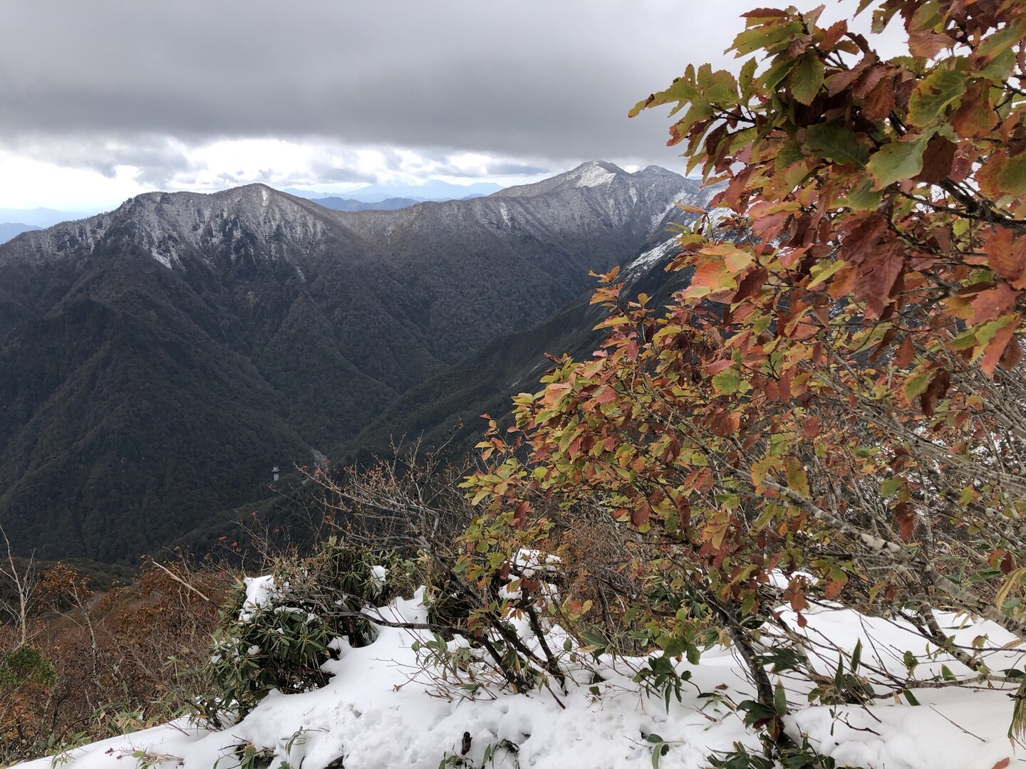 谷川岳 雪で途中撤退 / kaoさんの谷川岳・七ツ小屋山・大源太山の活動データ | YAMAP / ヤマップ