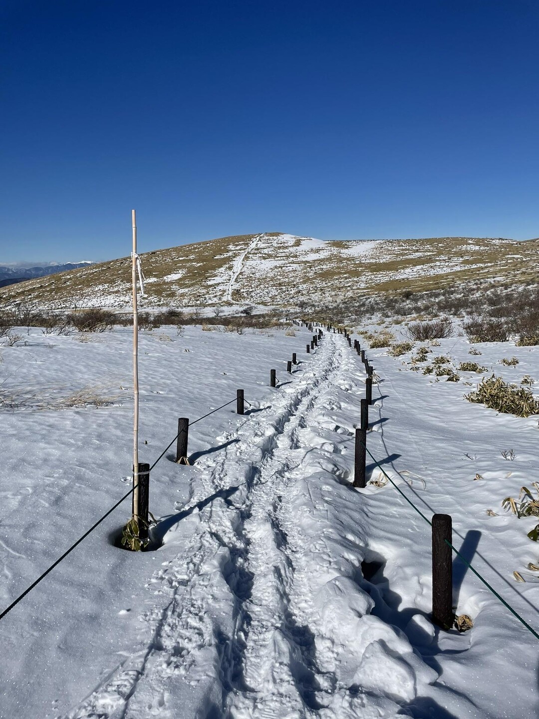 霧ヶ峰（車山）・蝶々深山 / moeppさんの霧ヶ峰・車山・大笹峰の活動データ | YAMAP / ヤマップ