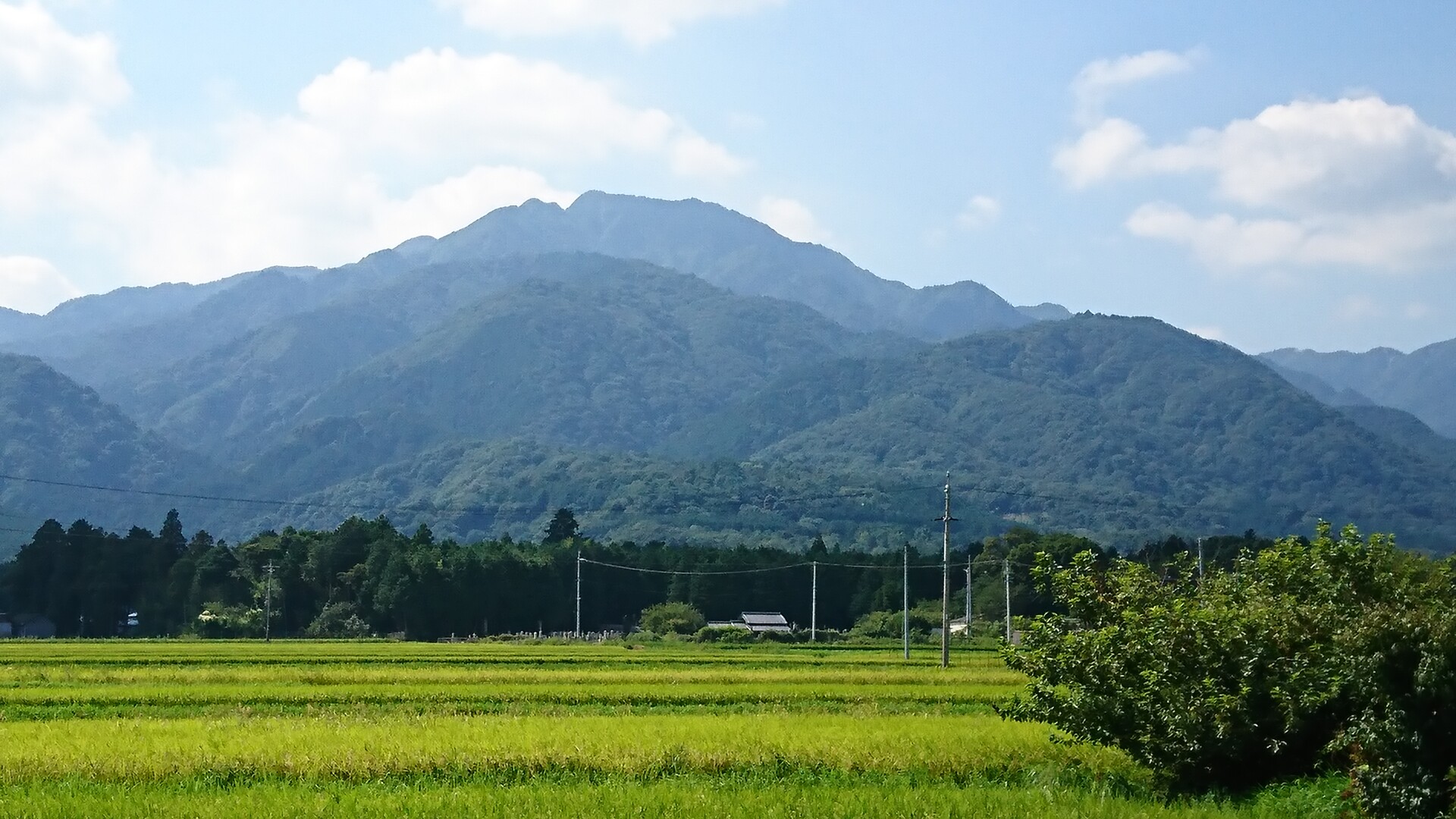 釈迦ヶ岳・猫岳・羽鳥峰 / Homanさんの釈迦ヶ岳の活動データ | YAMAP / ヤマップ