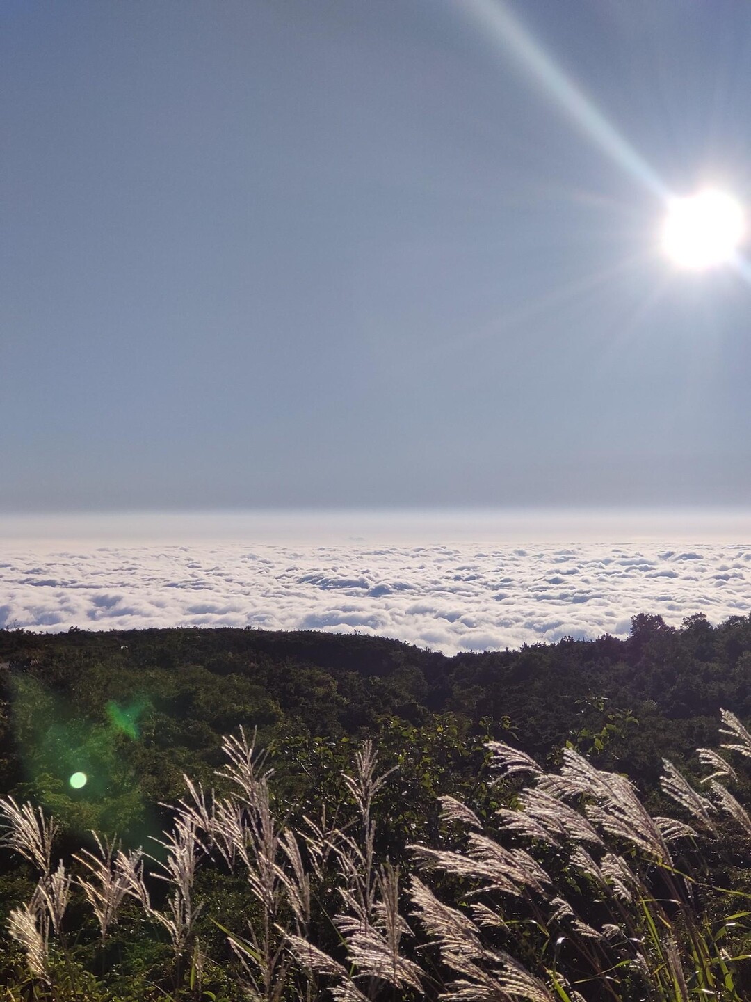 雲の平原!刈田岳・蔵王 / kaz kitさんの蔵王山・雁戸山・不忘山の活動データ | YAMAP / ヤマップ