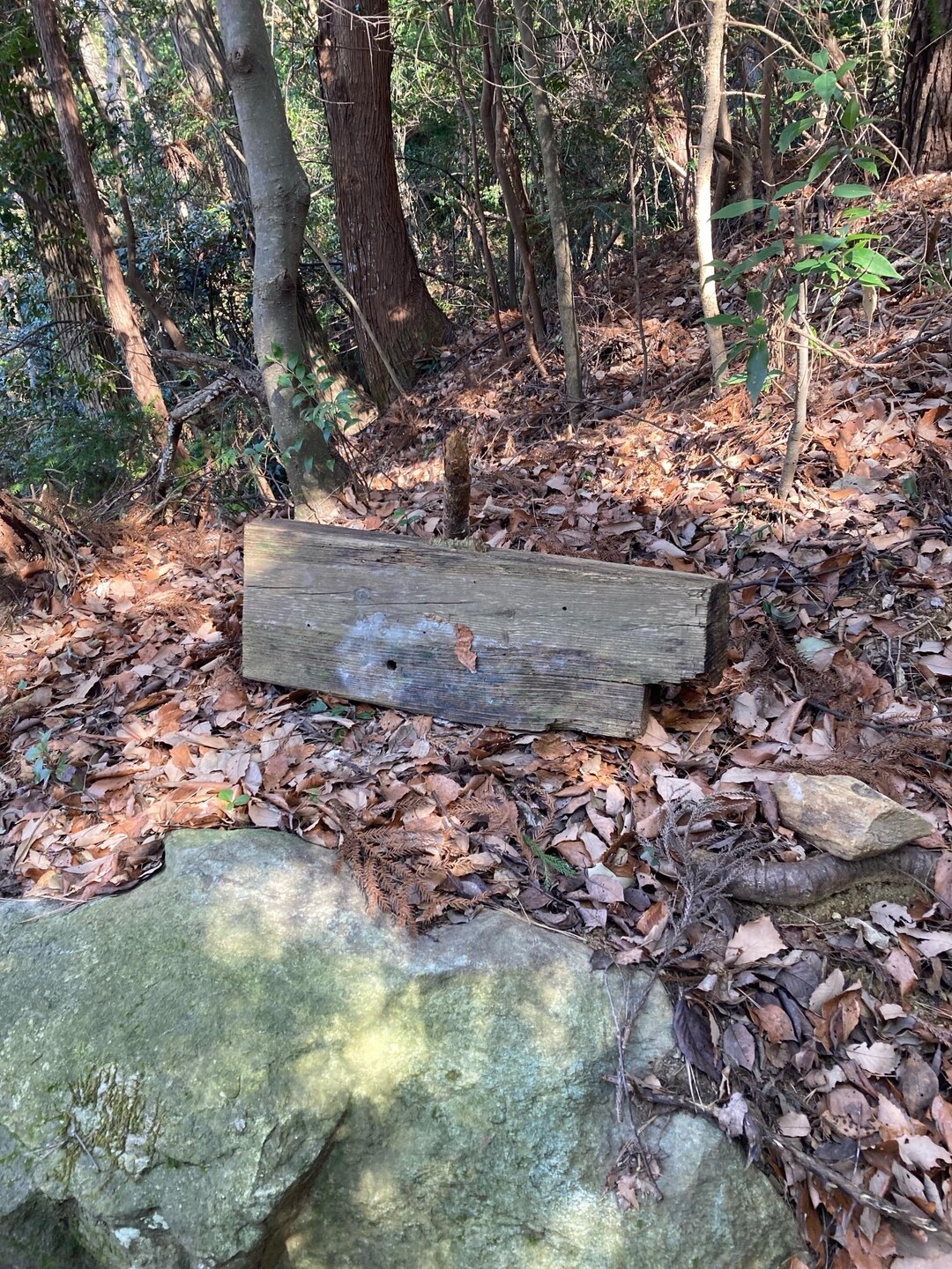 八助 (Yasuke)さんの投稿したフィールドメモ | YAMAP / ヤマップ