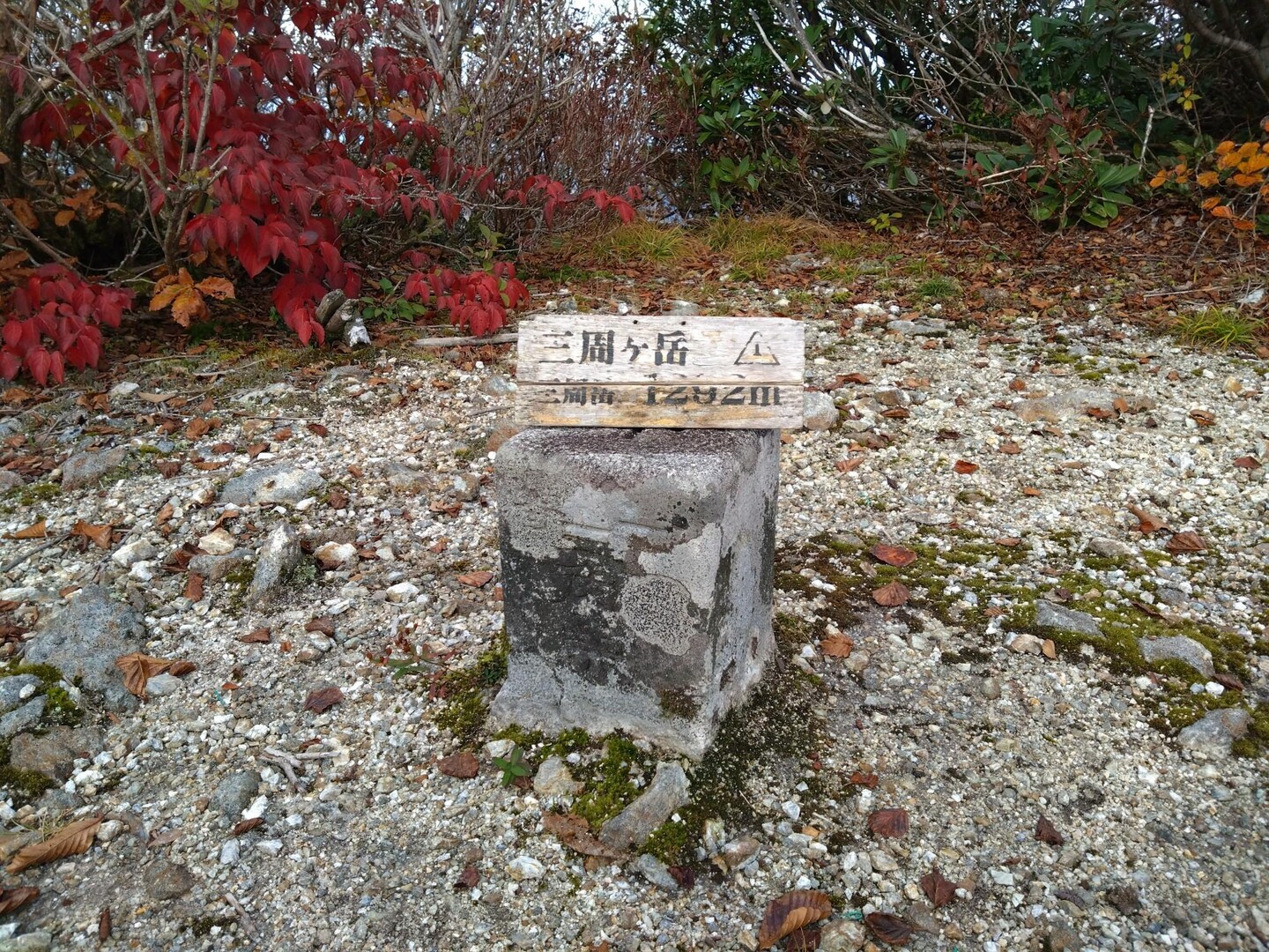 三周ヶ岳 JA/GF-077 / muuさんの夜叉ヶ池山・三周ヶ岳の活動データ | YAMAP / ヤマップ