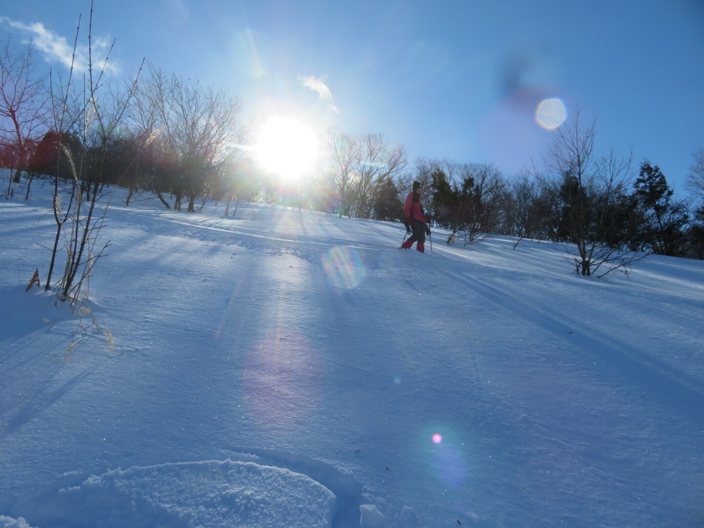 揖斐高原 貝月ゲレンデ-2022-01-02 リハビリスキーシュー / 貝月山の写真13枚目 / 雪が深くスピード出ない | YAMAP / ヤマップ