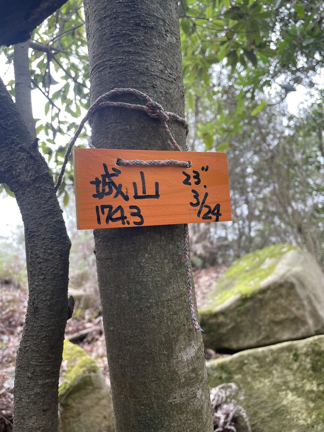 城山 / JBT会員番号5さんの下関市（豊浦町・菊川町）の活動データ | YAMAP / ヤマップ