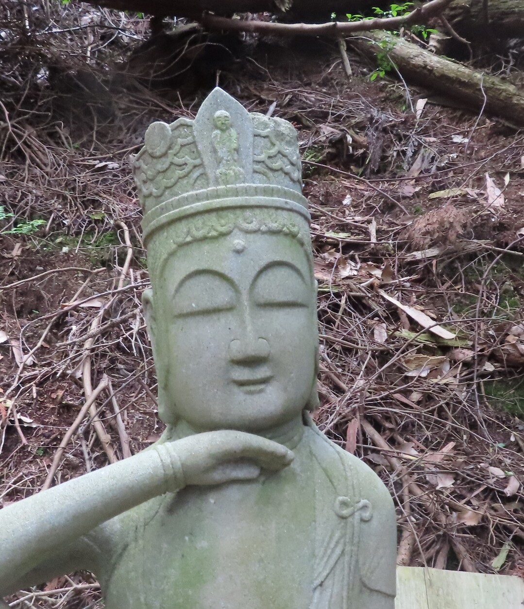 ss43mのページ | YAMAP / ヤマップ