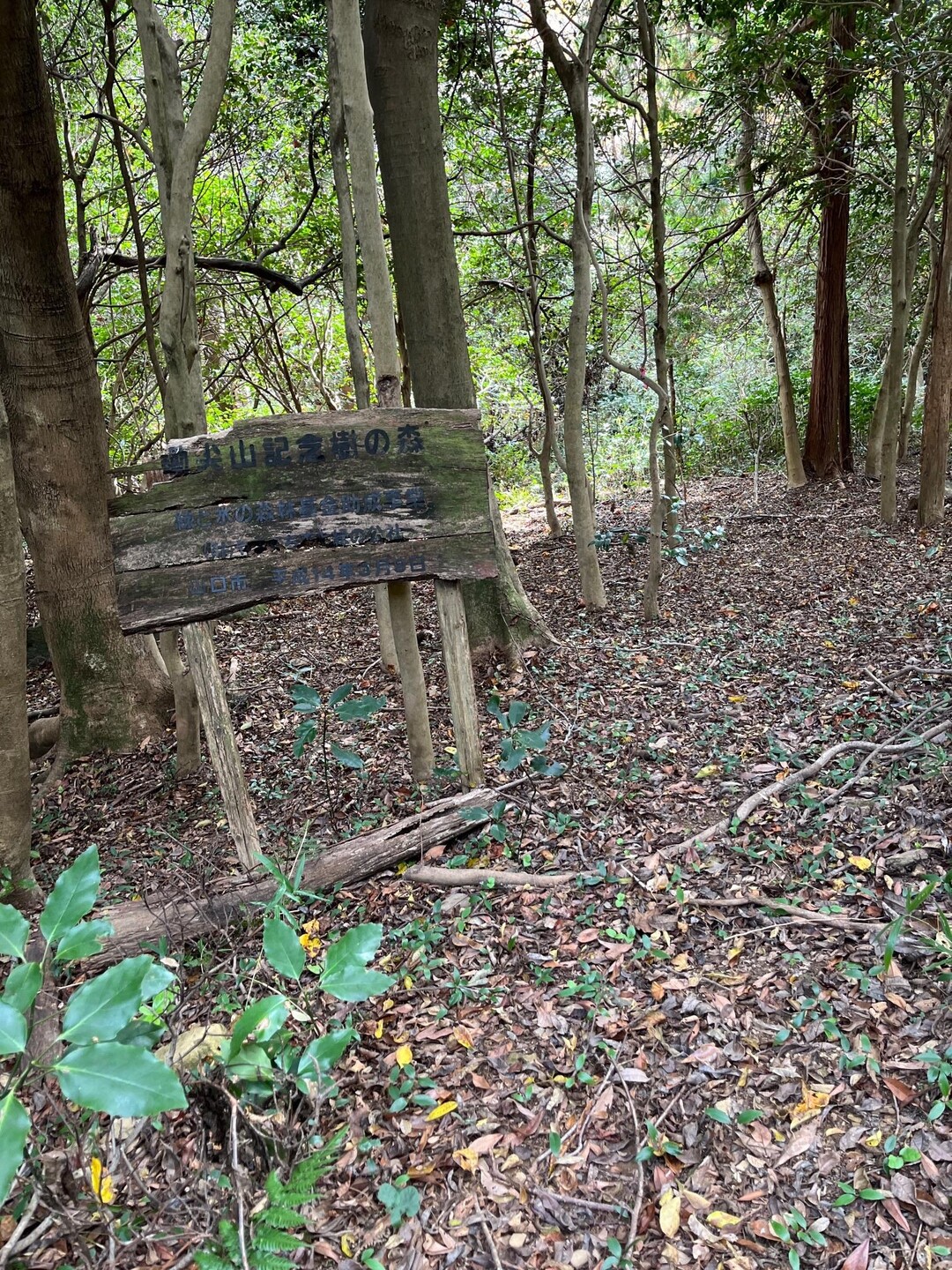 おきM2さんの投稿したフィールドメモ | YAMAP / ヤマップ