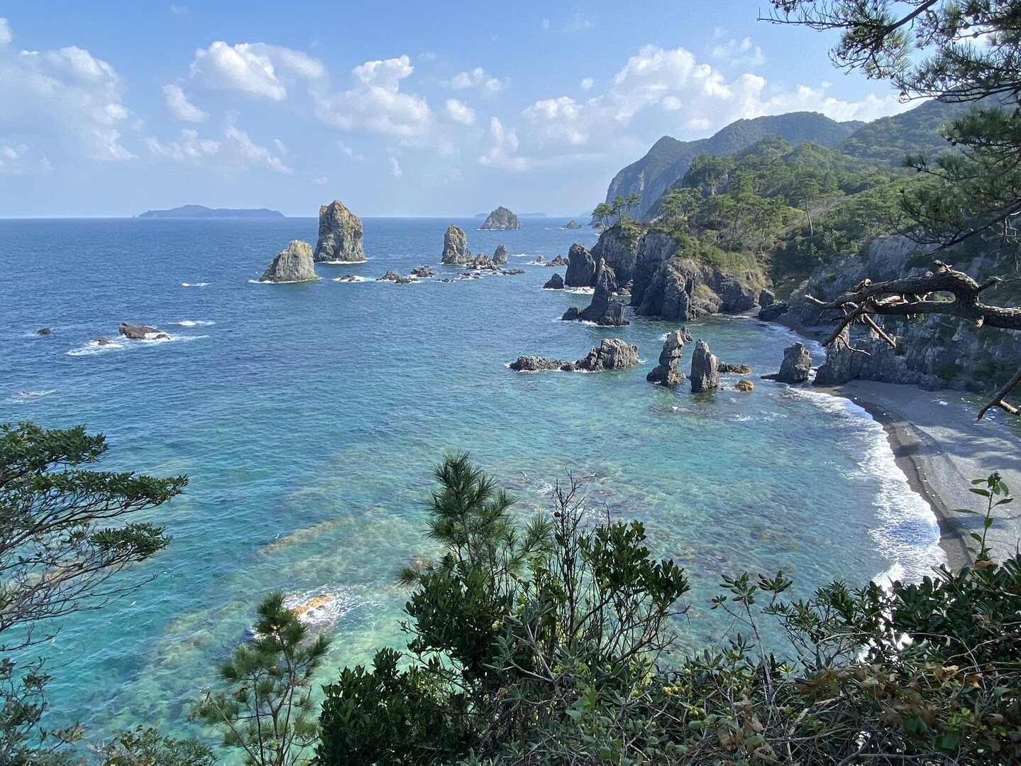 青海島自然研究路（山口県）-2023-10-16 / YaMaPeeさんのウォーキングの活動データ | YAMAP / ヤマップ