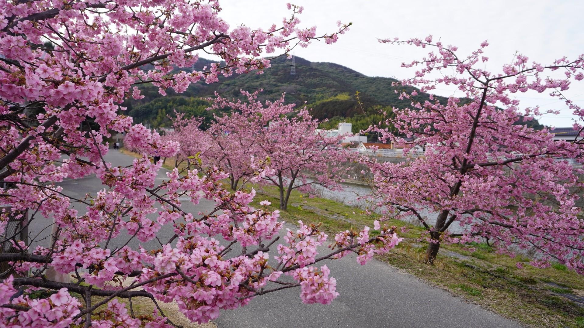 湯野観音岳 山歩 / Zatoさんの湯野観音岳の活動データ | YAMAP / ヤマップ