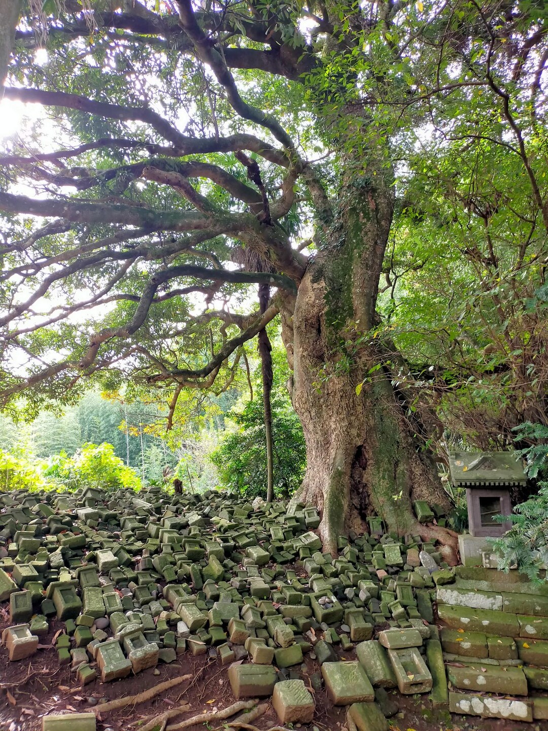 関東ふれあいの道 千葉2 自然と歴史をたどるみち / omasa さんの成田市の活動データ | YAMAP / ヤマップ