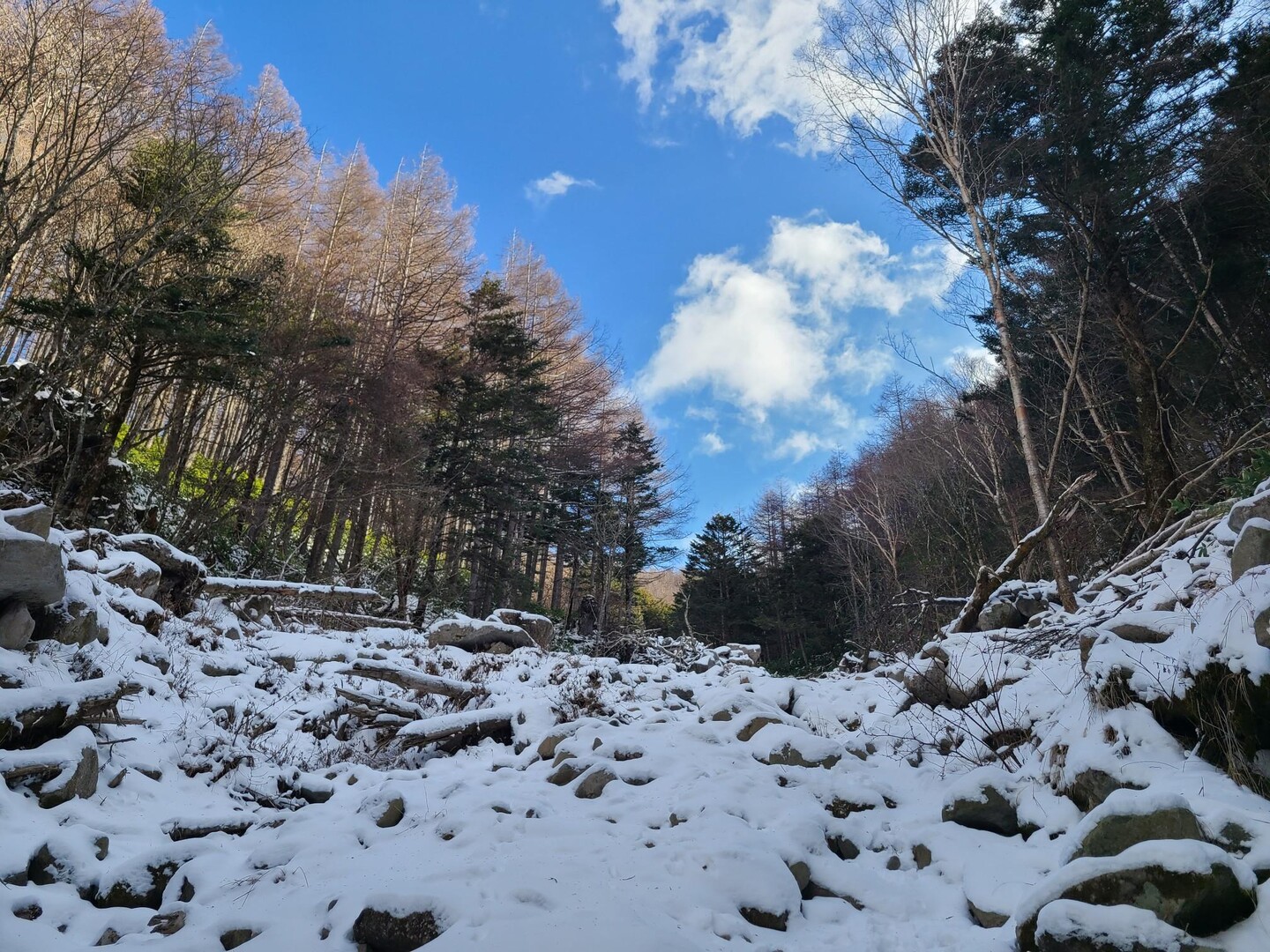茶臼山 美ヶ原 / Reyさんの美ヶ原の活動データ | YAMAP / ヤマップ
