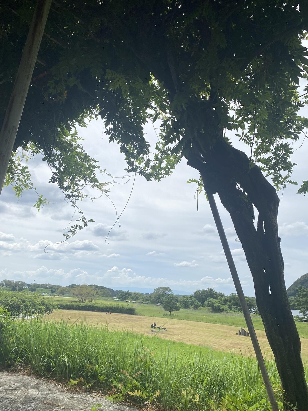 ランニング🏃ようやく始動。 真昼のラン... / KOHJIさんのモーメント | YAMAP / ヤマップ