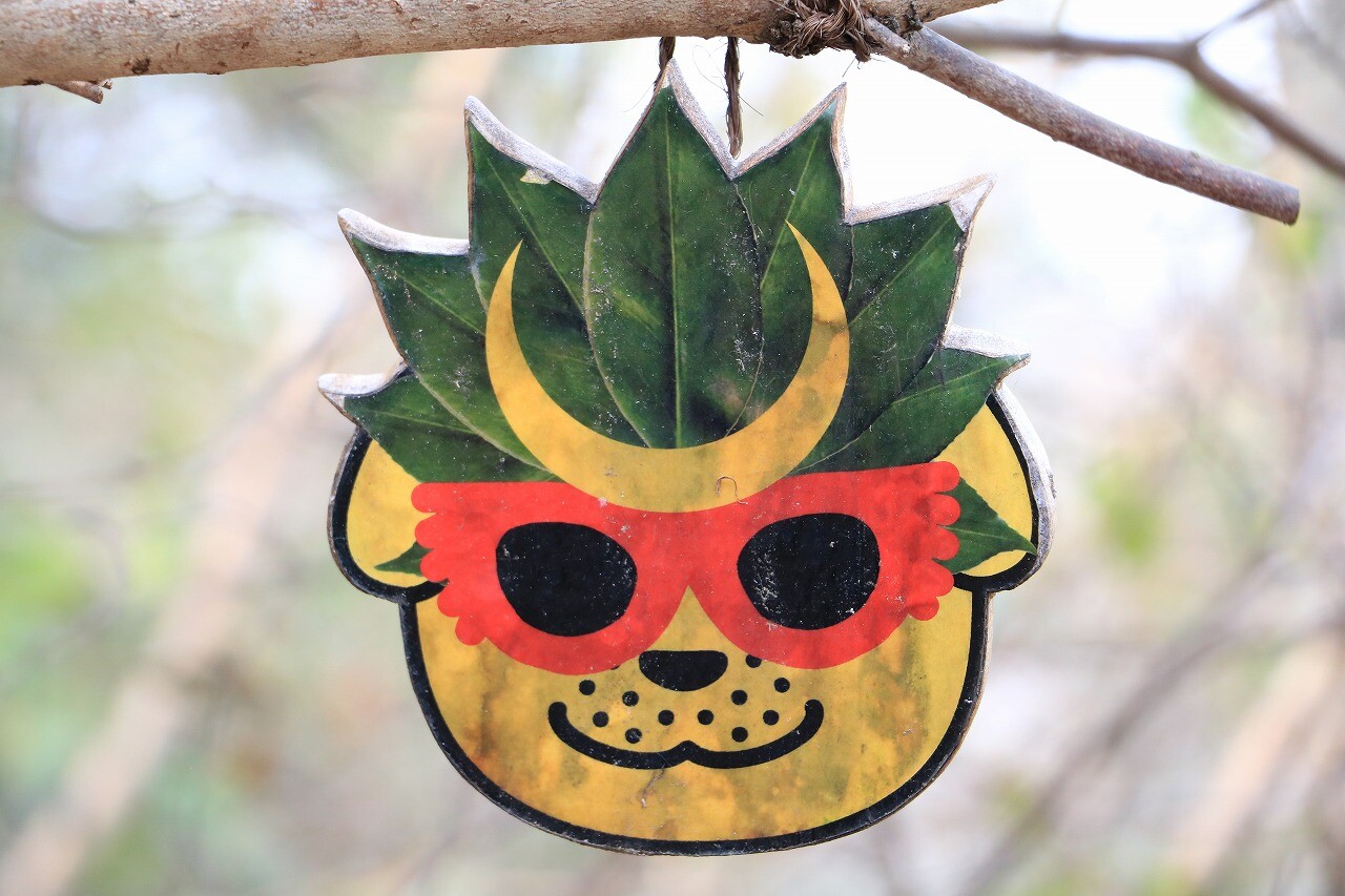 明神山 隠れ雪丸探し / 低山登山 家hidekiさんの明神山・玉手山の活動データ | YAMAP / ヤマップ