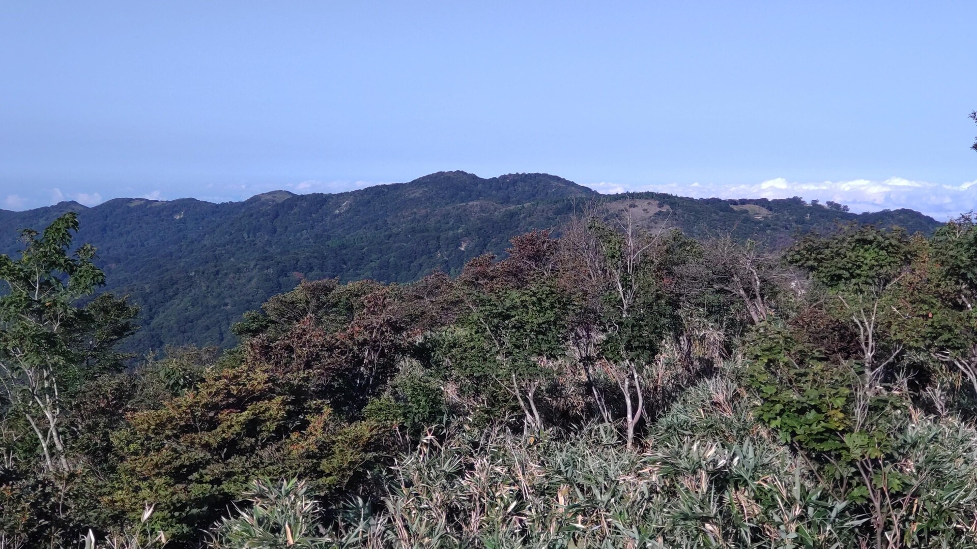 貝月山 / モンチGf🙊さんの貝月山の活動日記 | YAMAP / ヤマップ