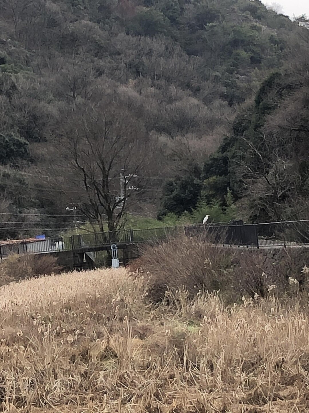 金山・岩坂山・須衛山・向山・向前山 / たなかさんの各務原アルプス（関南アルプス）・八木三山の活動データ | YAMAP / ヤマップ
