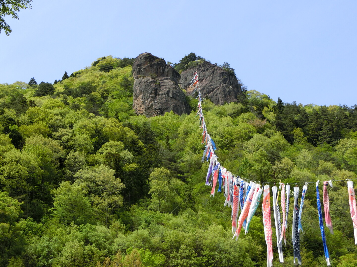 嵩山（たけやま） 楽しい岩登りのある信仰の山 / tadmさんの嵩山の活動データ | YAMAP / ヤマップ