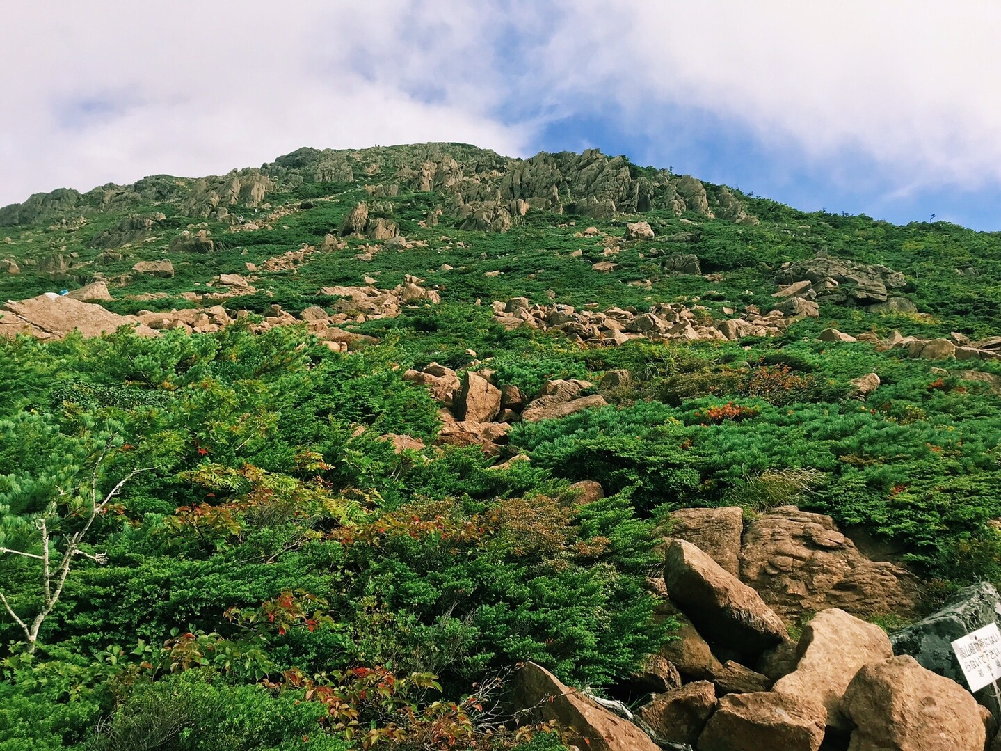 早池峰山・薬師岳・鶏頭山-2019-09-14 / ue_ryさんの早池峰山・薬師岳・鶏頭山の活動データ | YAMAP / ヤマップ