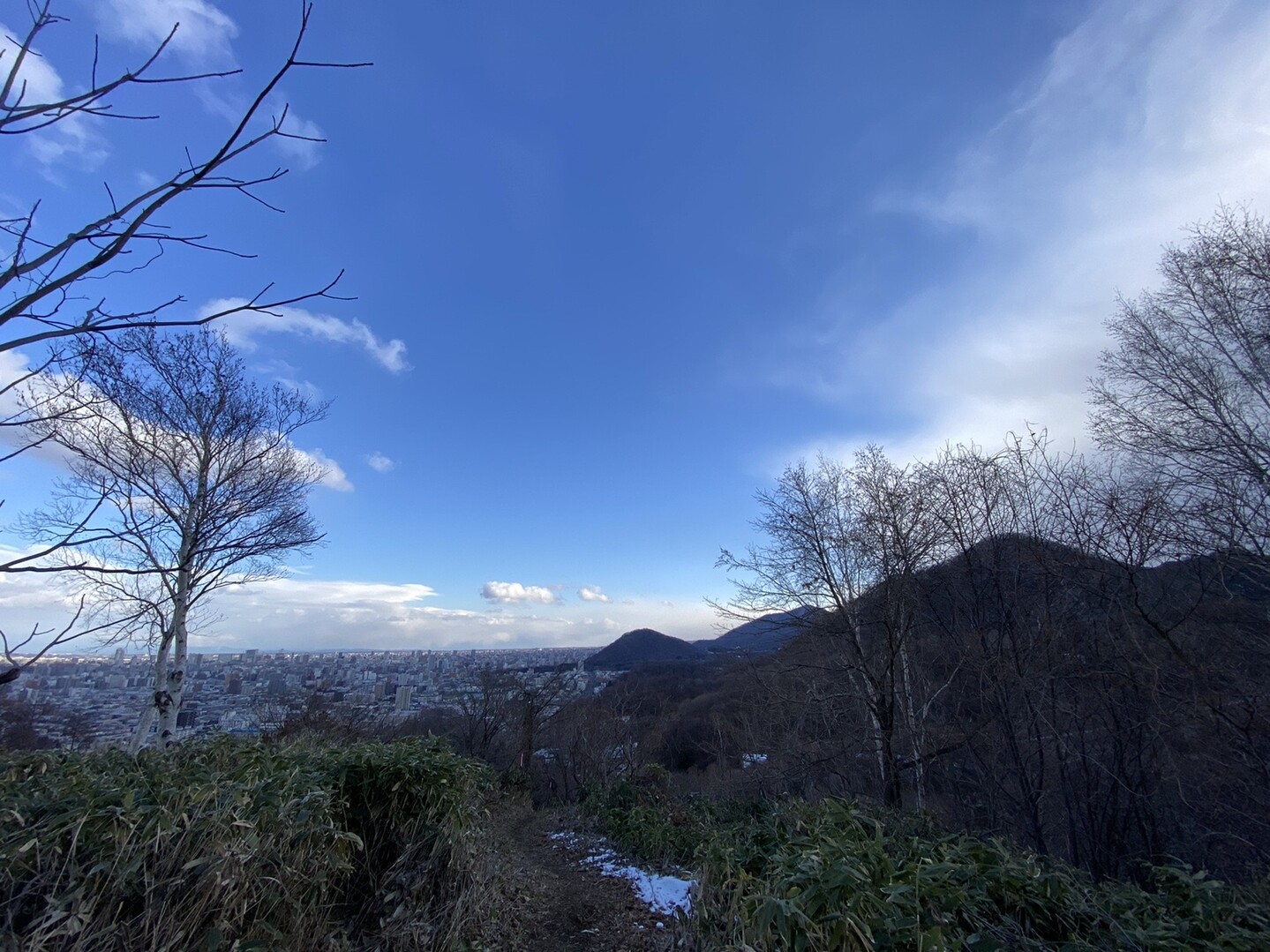 ソロっとおかわり寺口山🦜 / rucolaさんの三角山・大倉山・円山の活動日記 | YAMAP / ヤマップ