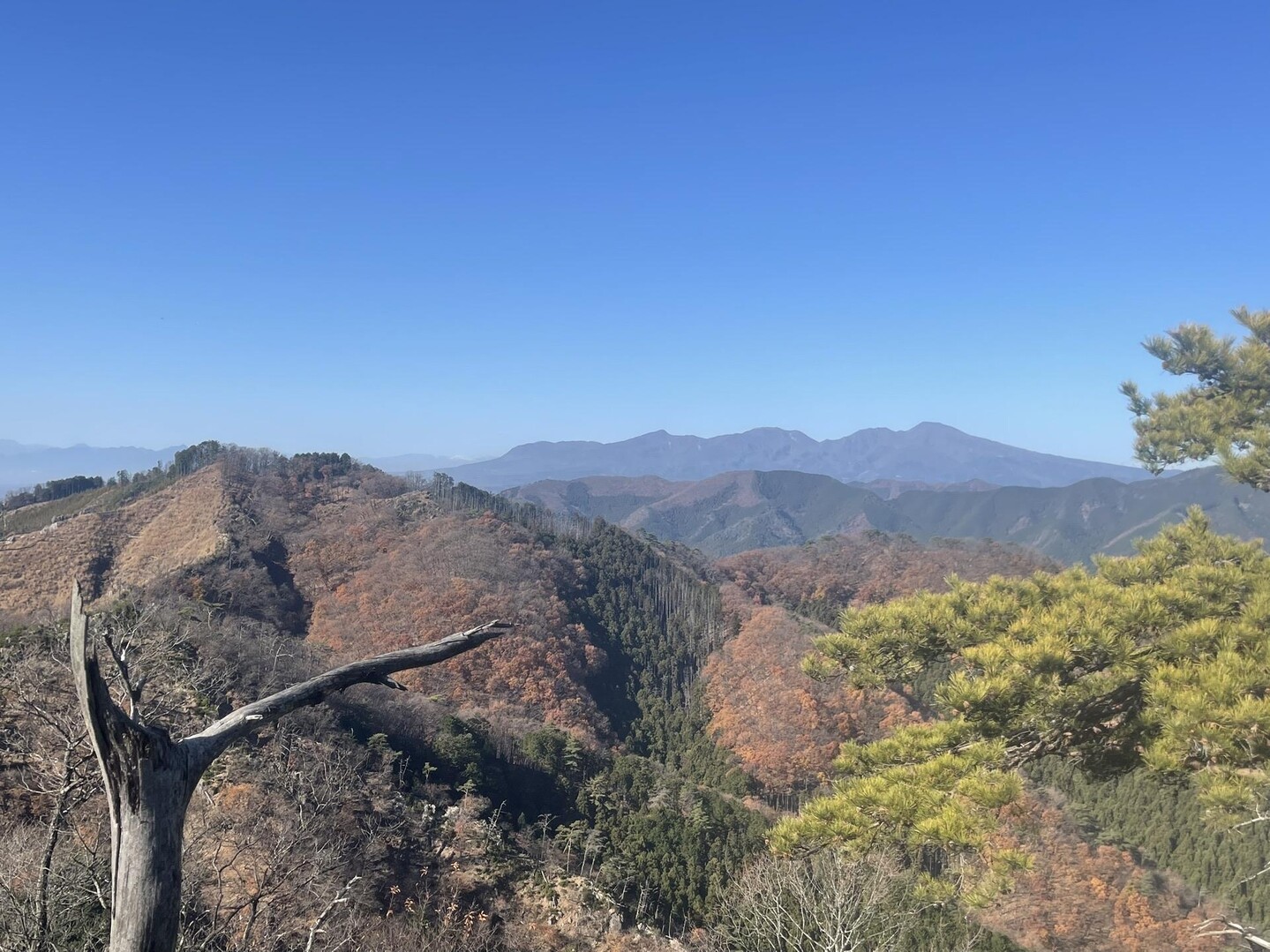 仙人ヶ岳・女仙人ヶ岳・知ノ岳・宗の岳・惟の岳・猪子山 / KAY-Zさんの両崖山・仙人ヶ岳・石尊山の活動データ | YAMAP / ヤマップ