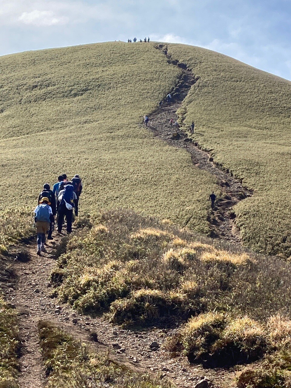 竜ヶ岳 / TNさんの竜ヶ岳の活動データ | YAMAP / ヤマップ