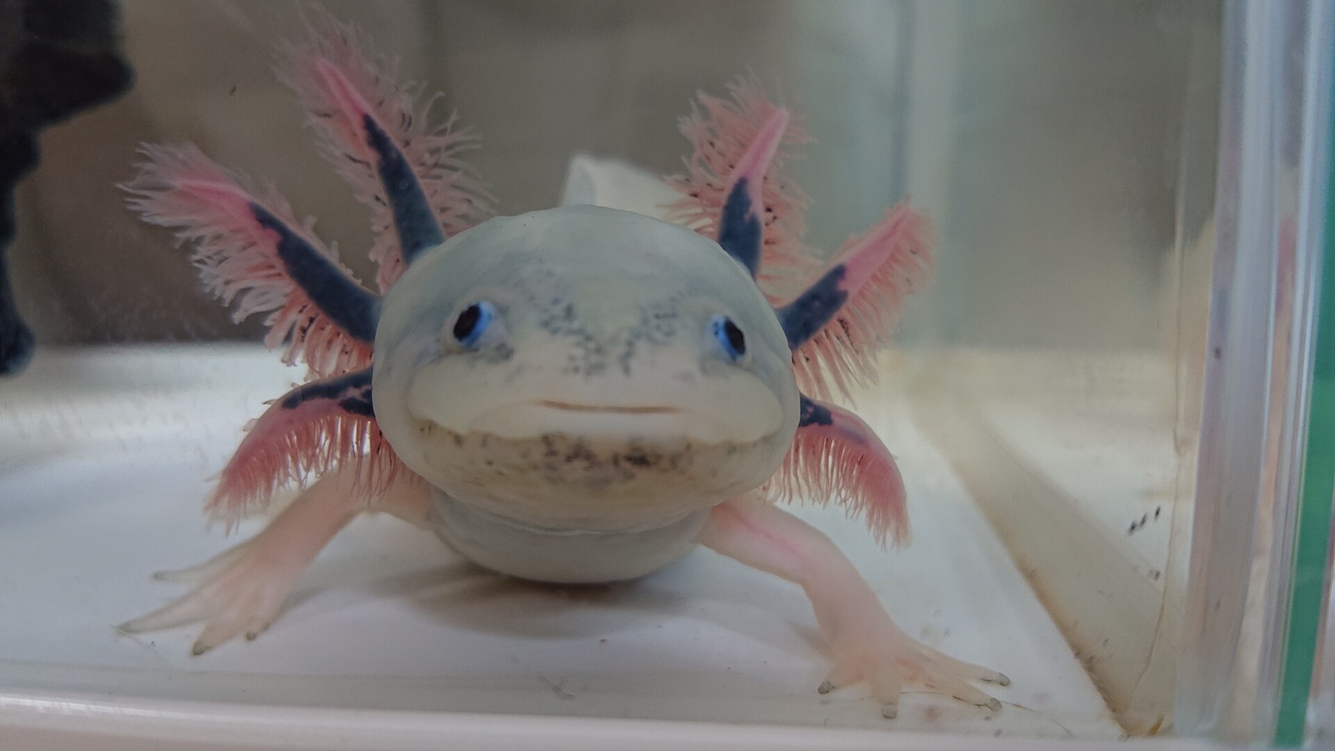 t-setoのページ | YAMAP / ヤマップ