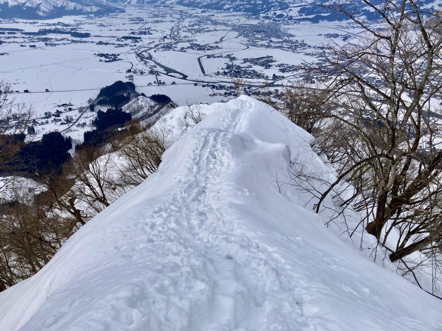 坂戸山7 / karashiさんの坂戸山の活動データ | YAMAP / ヤマップ