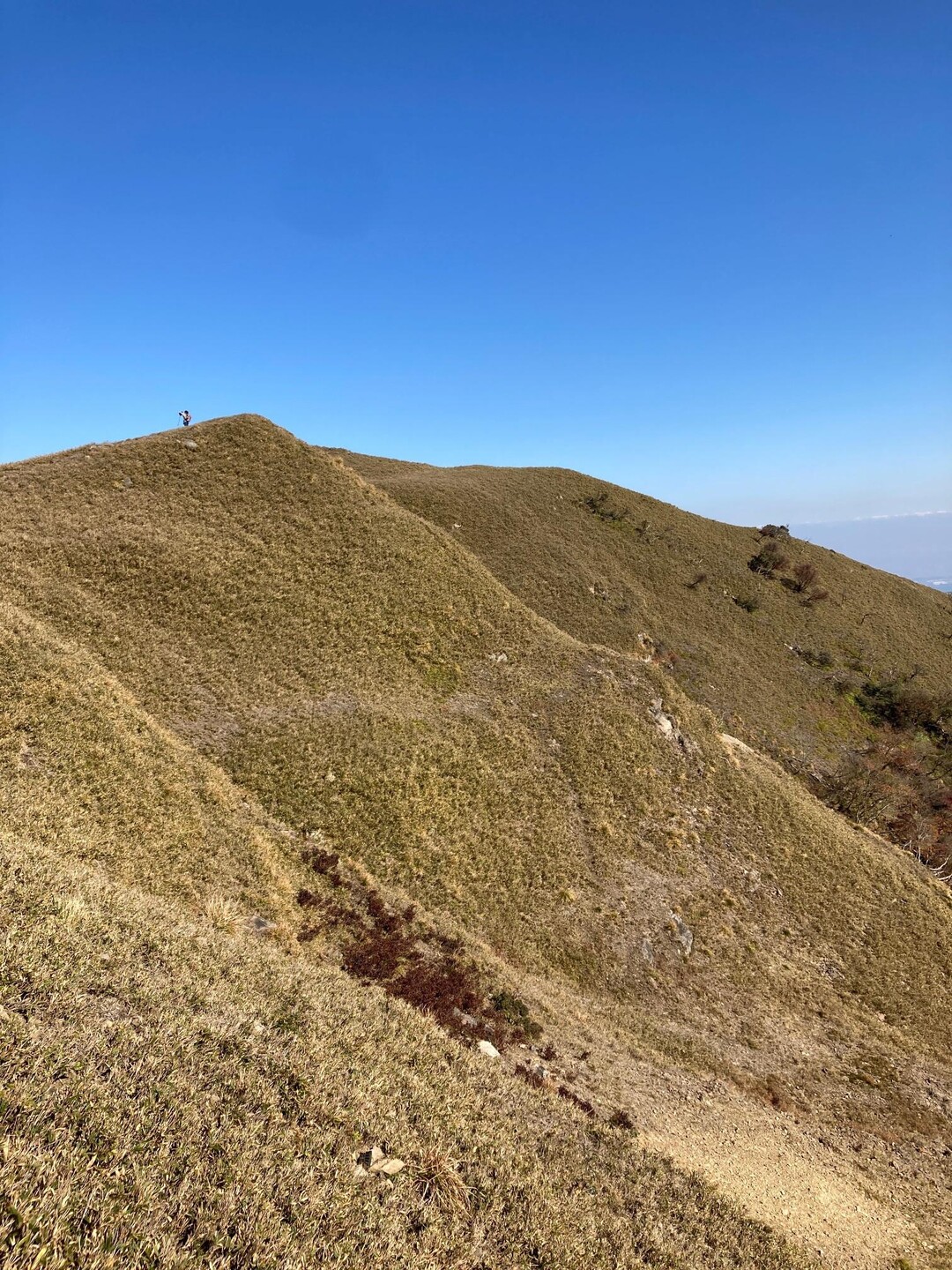 竜ヶ岳 / しゅうじさんの竜ヶ岳の活動データ | YAMAP / ヤマップ