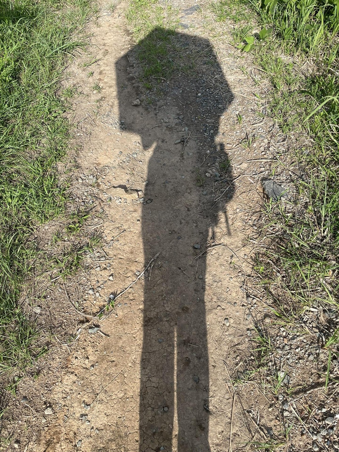 平尾台・貫山・水晶山-2024-07-25 / key_ko86さんの平尾台・貫山・水晶山の活動データ | YAMAP / ヤマップ