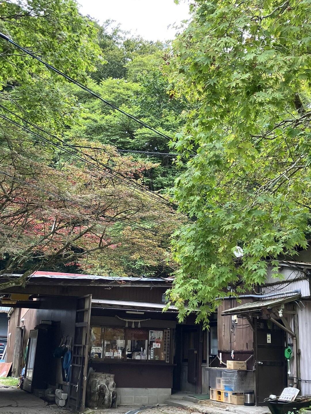 金剛山・葛木岳・湧出岳 / K-TAさんの金剛山・二上山・大和葛城山の活動データ | YAMAP / ヤマップ