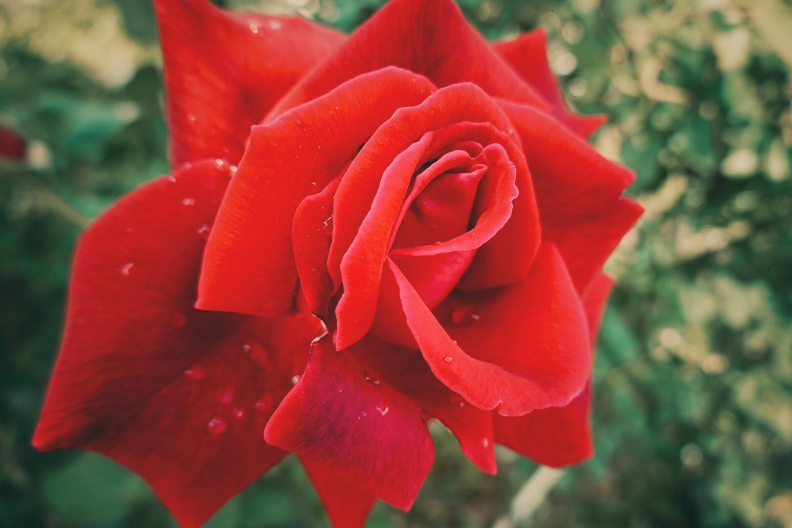 何故かオールドレンズの色合いに惹かれる... / Kotaさんのモーメント | YAMAP / ヤマップ