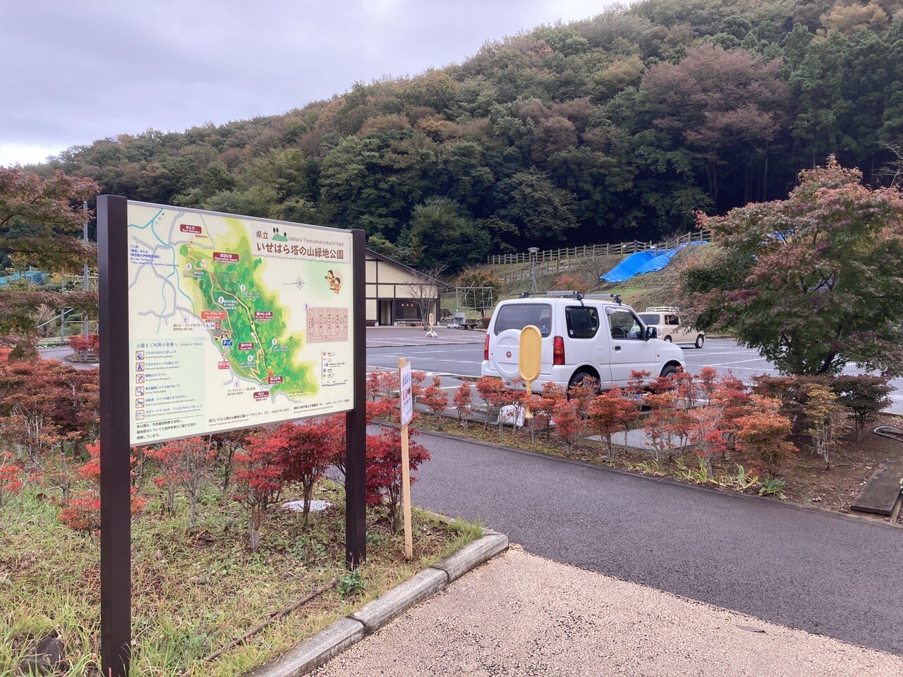 harryさんの投稿したフィールドメモ | YAMAP / ヤマップ