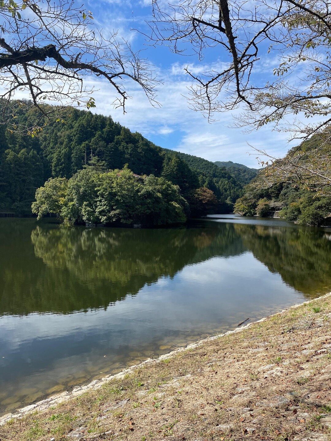 日和田山・高指山・物見山・小瀬名富士・東ムカイ山・愛宕山・東稲荷山・東中峰・西ユガテ・橋本山 / maiさんの日和田山・物見山の活動データ | YAMAP / ヤマップ