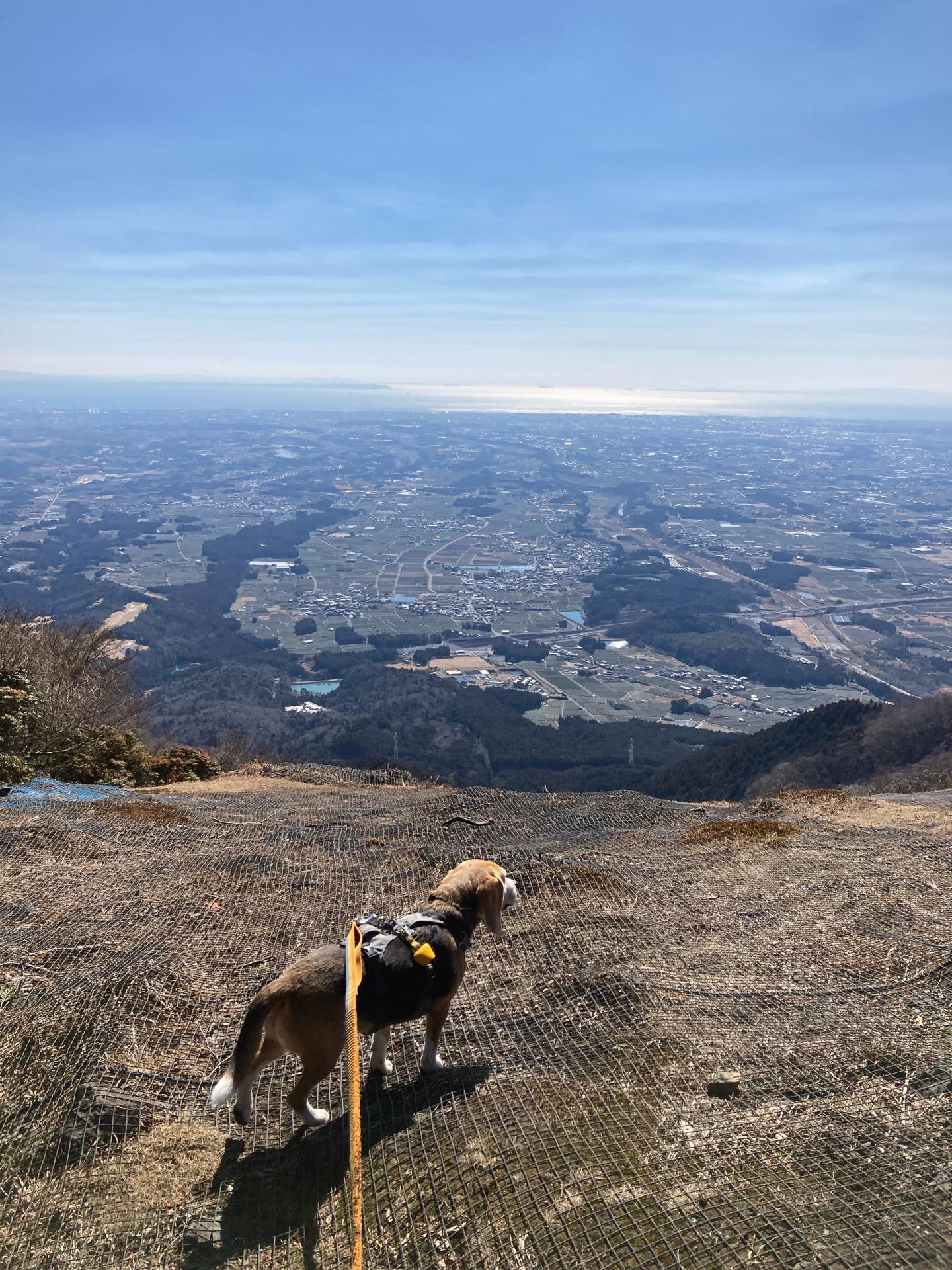 雲母峰Ⅱ峰 犬連れ🐶 / 山旅犬🐶ロマチッチ lomachicciさんの入道ヶ岳・鎌ヶ岳・仙ヶ岳の活動データ | YAMAP / ヤマップ