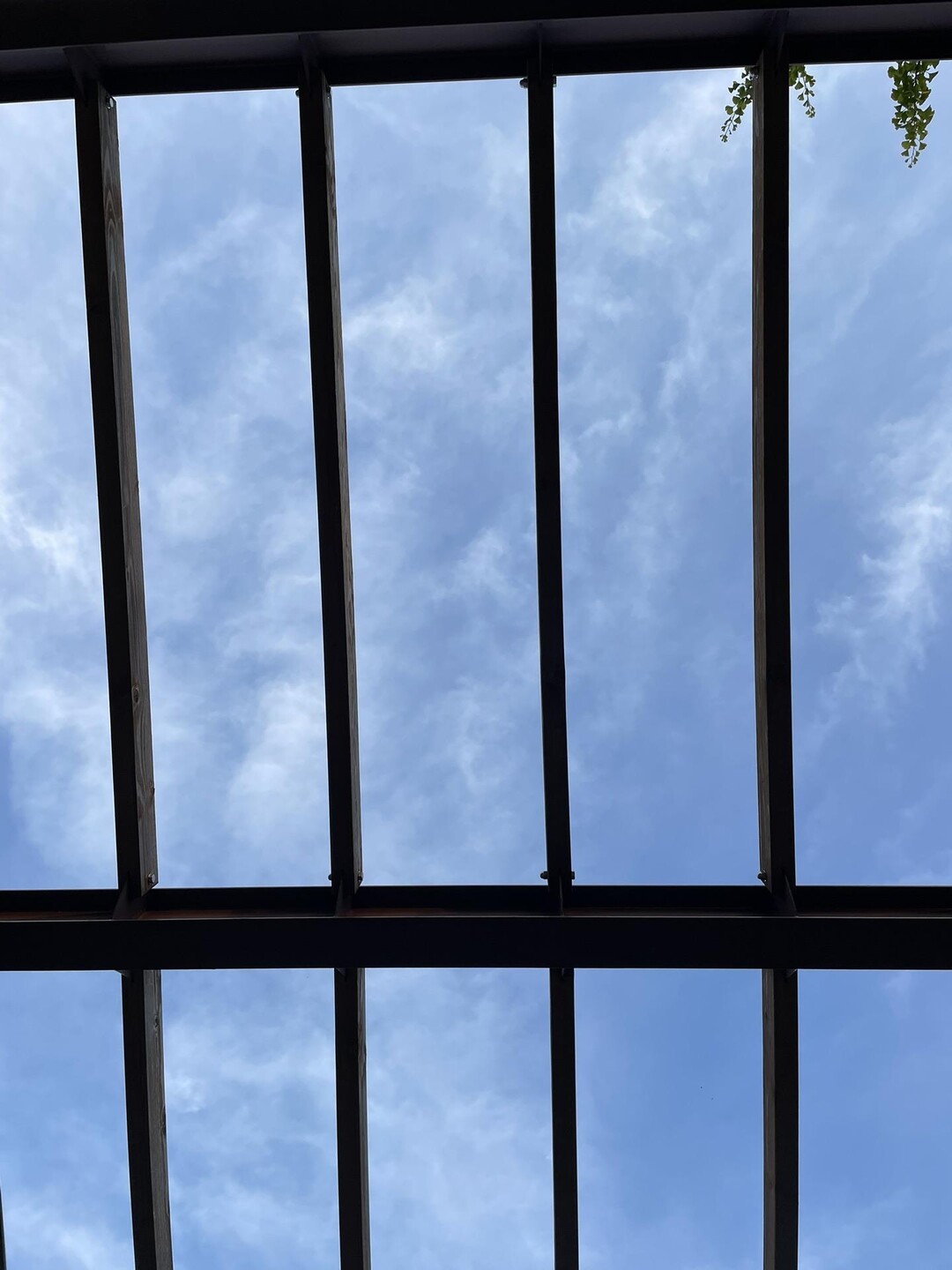 公園でベンチに寝て空を見上げてjazz ... / gakuoさんのモーメント | YAMAP / ヤマップ