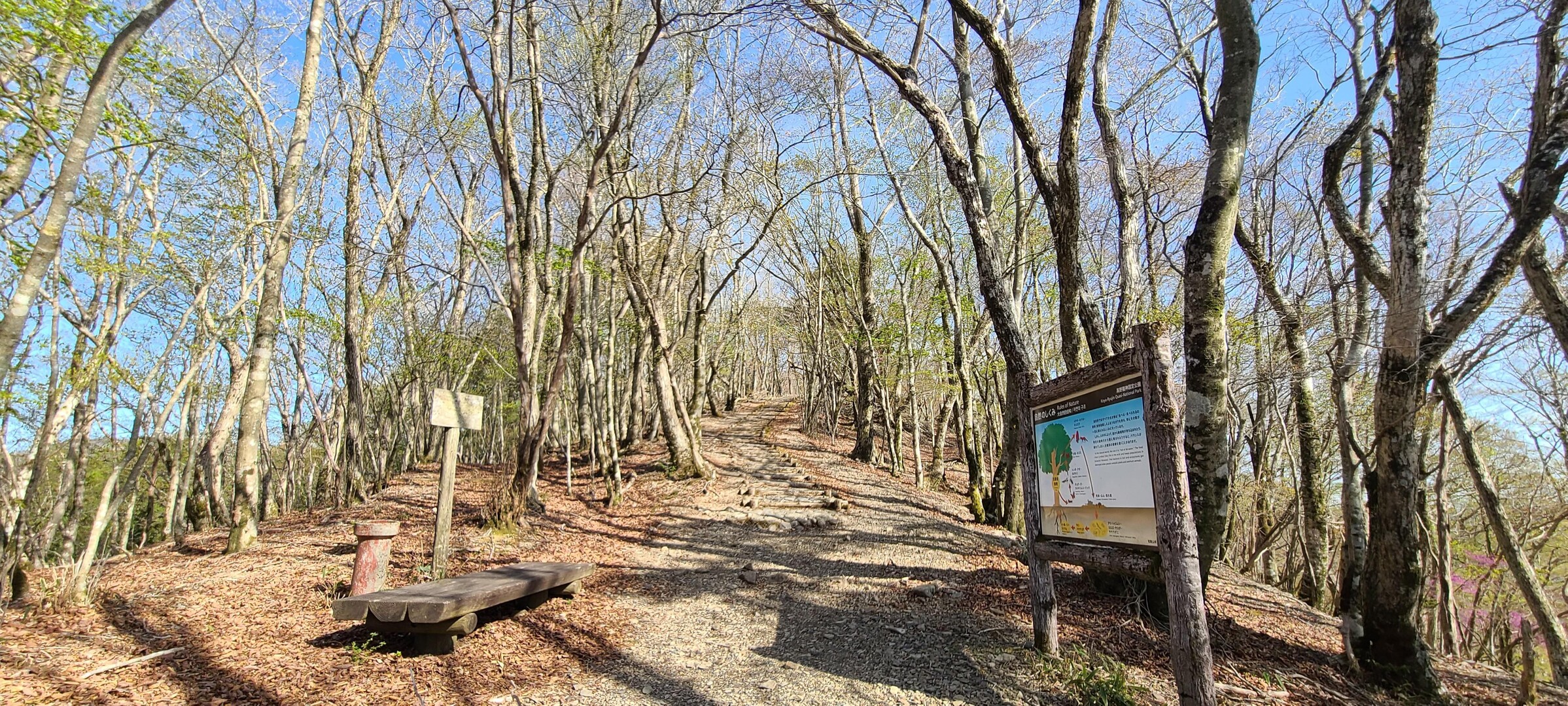 護摩壇山・龍神岳・耳取山・千ノ時 / naOmi-n7さんの護摩壇山・龍神岳の活動データ | YAMAP / ヤマップ