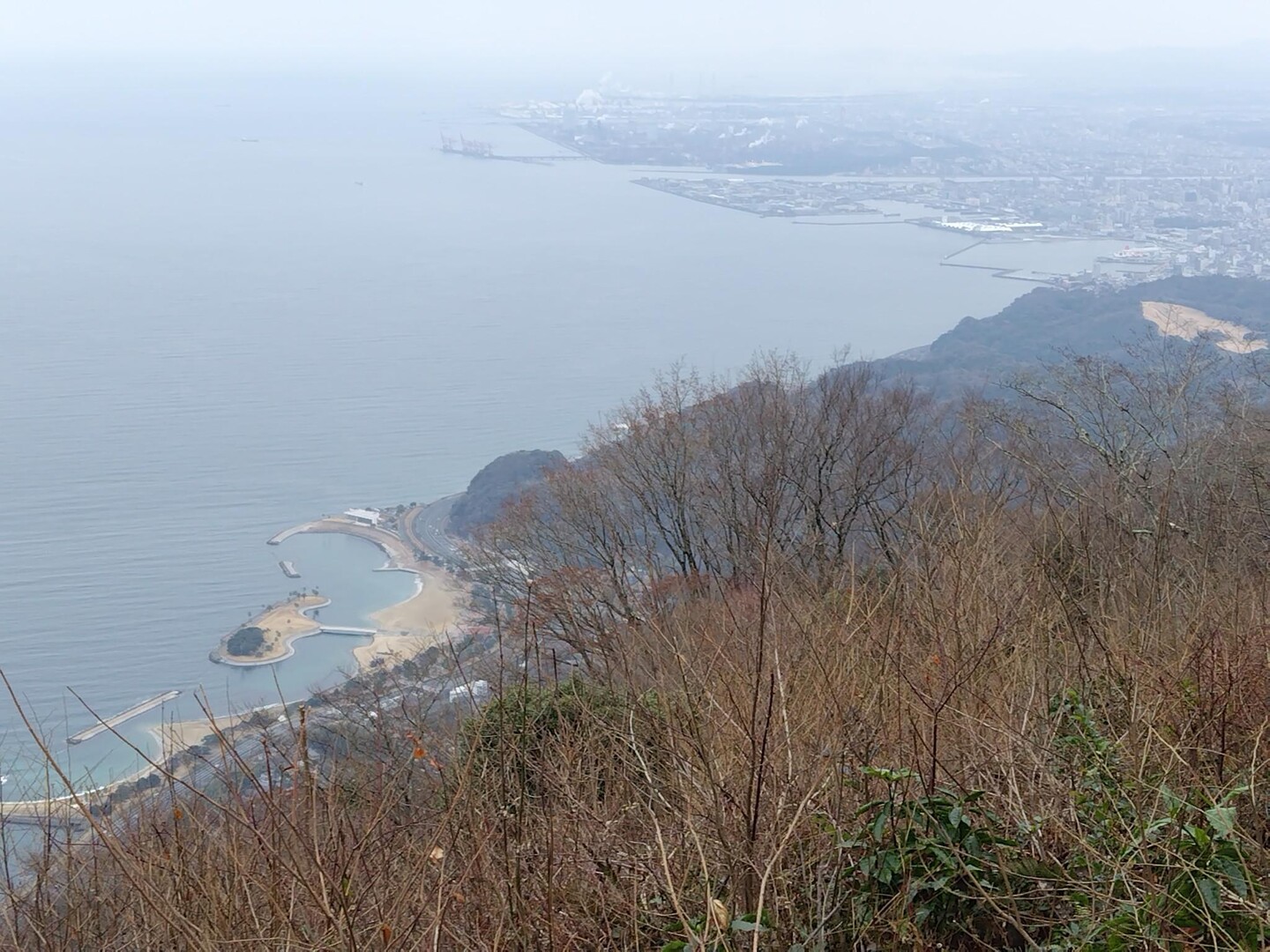 高崎山〜雨でもいいから行ってみよう🎵 / otu Yさんの高崎山の活動データ | YAMAP / ヤマップ