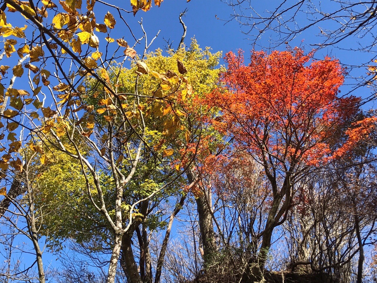 英彦山(北岳)・英彦山（中岳）・英彦山（南岳） / kohさんの英彦山の活動データ | YAMAP / ヤマップ